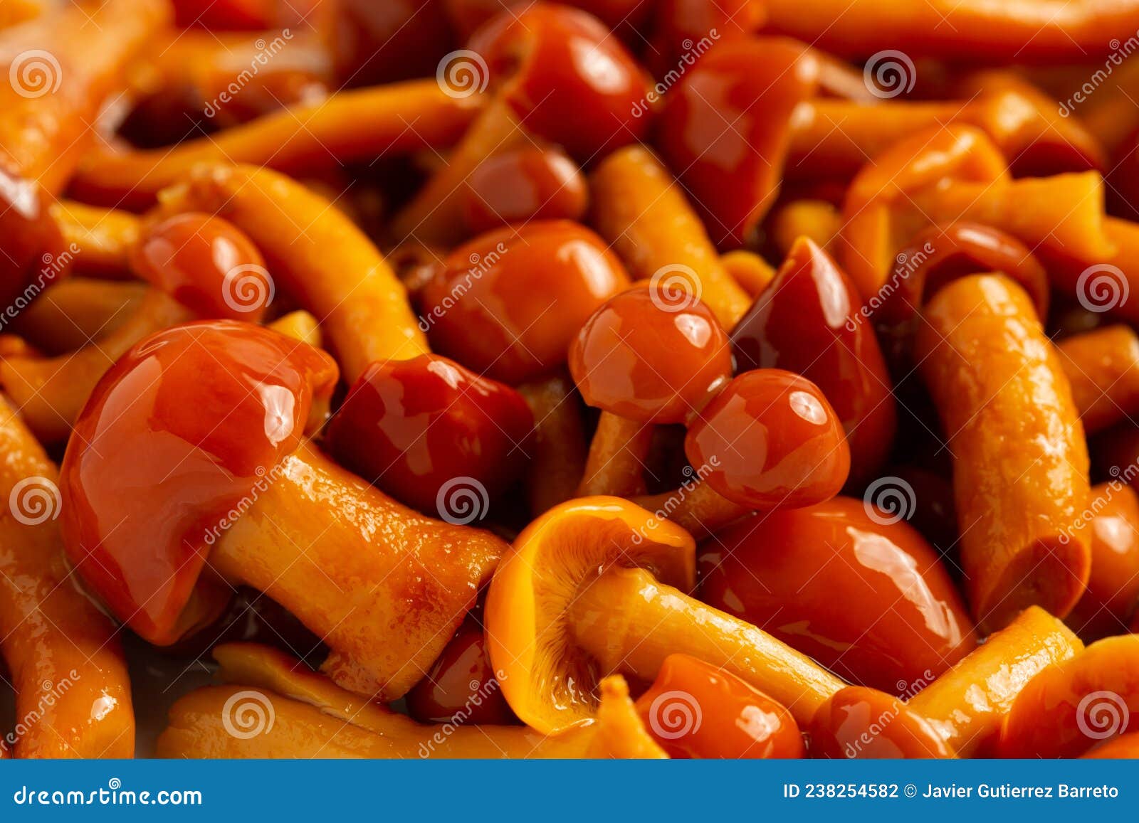 Hongos shiitake chinos foto de archivo. Imagen de ingrediente - 238254582