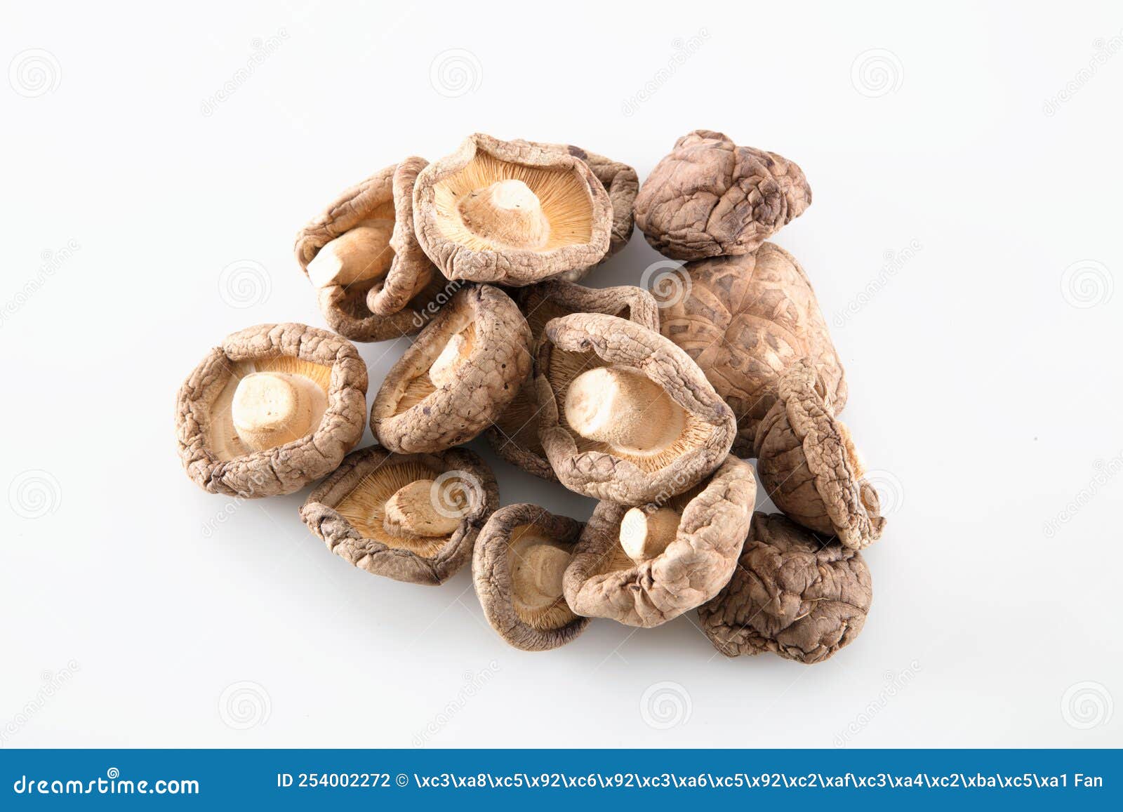 Hongos Shiitake Secos Sobre Fondo Blanco Foto de archivo - Imagen de ...