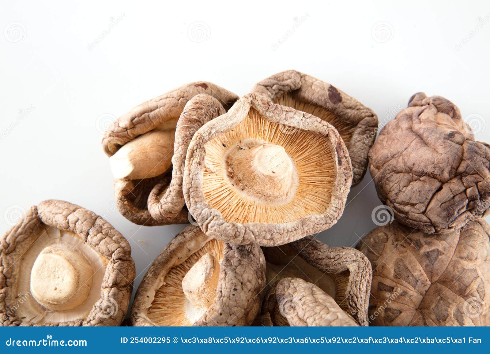 Hongos Shiitake Secos Sobre Fondo Blanco Imagen de archivo - Imagen de ...