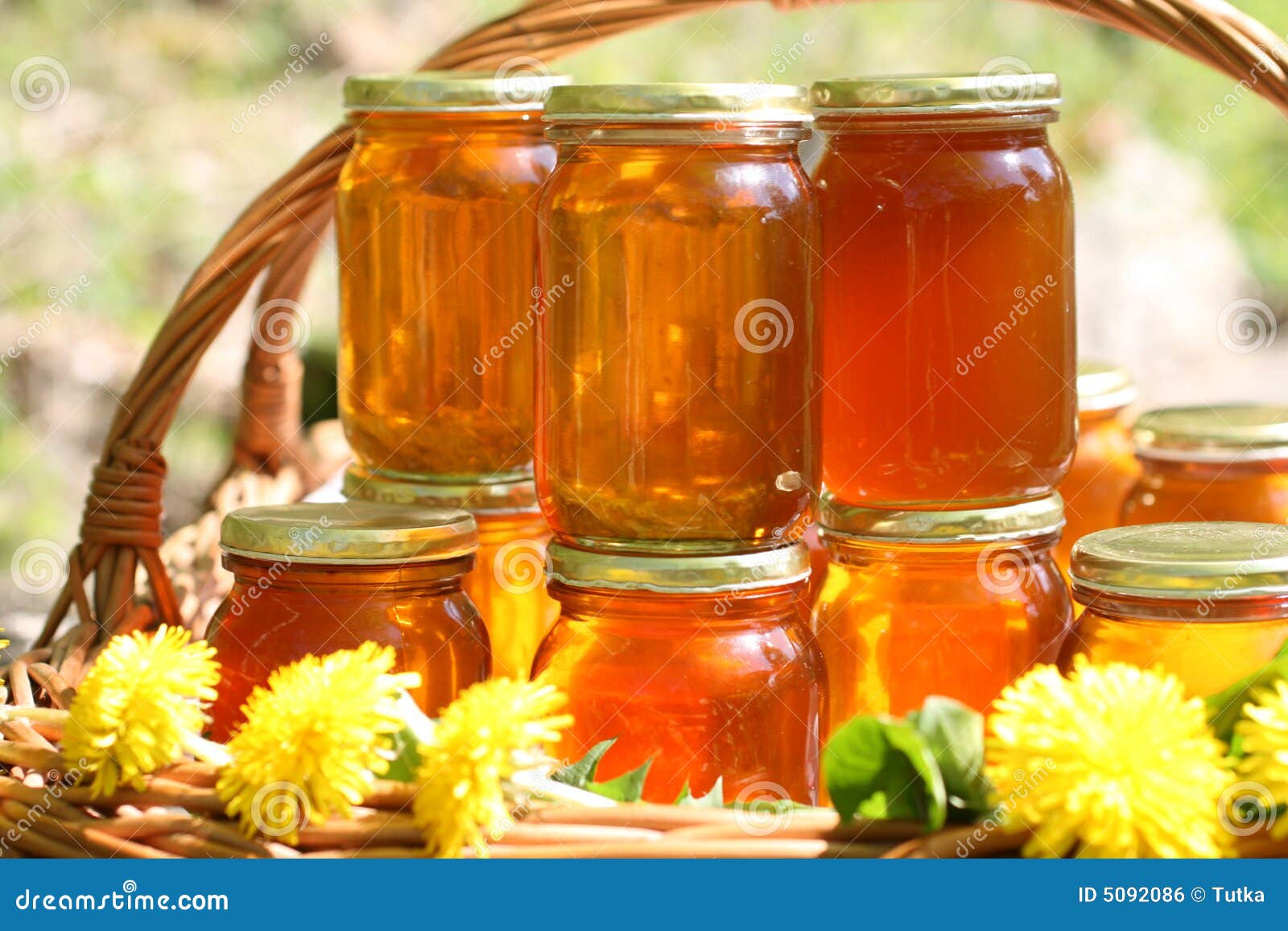 Honig im Glas stockfoto. Bild von frisch, medizin, gesundheit - 5092086