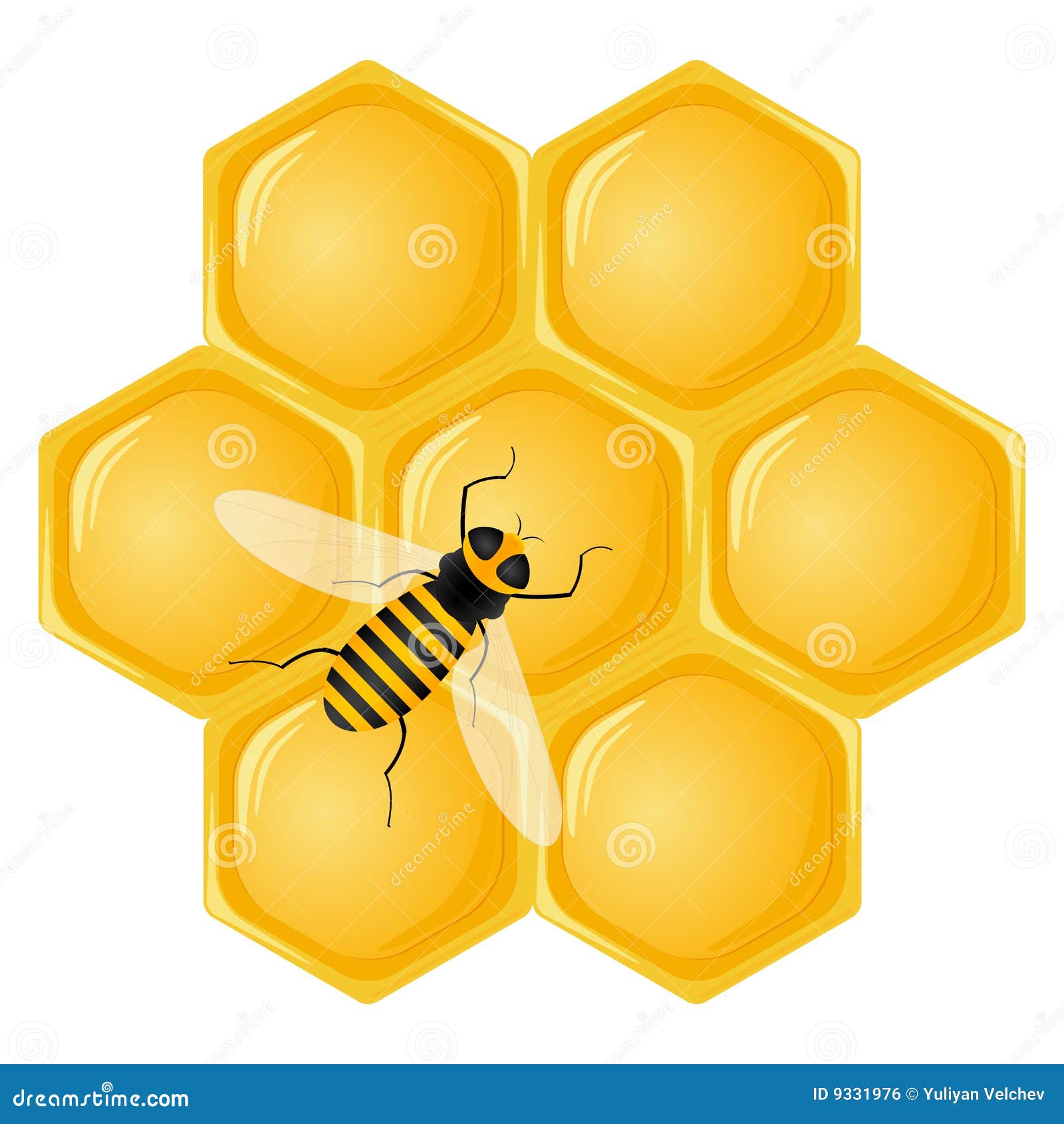 Honingraat en bij vector illustratie. Illustration of sinaasappel - 9331976