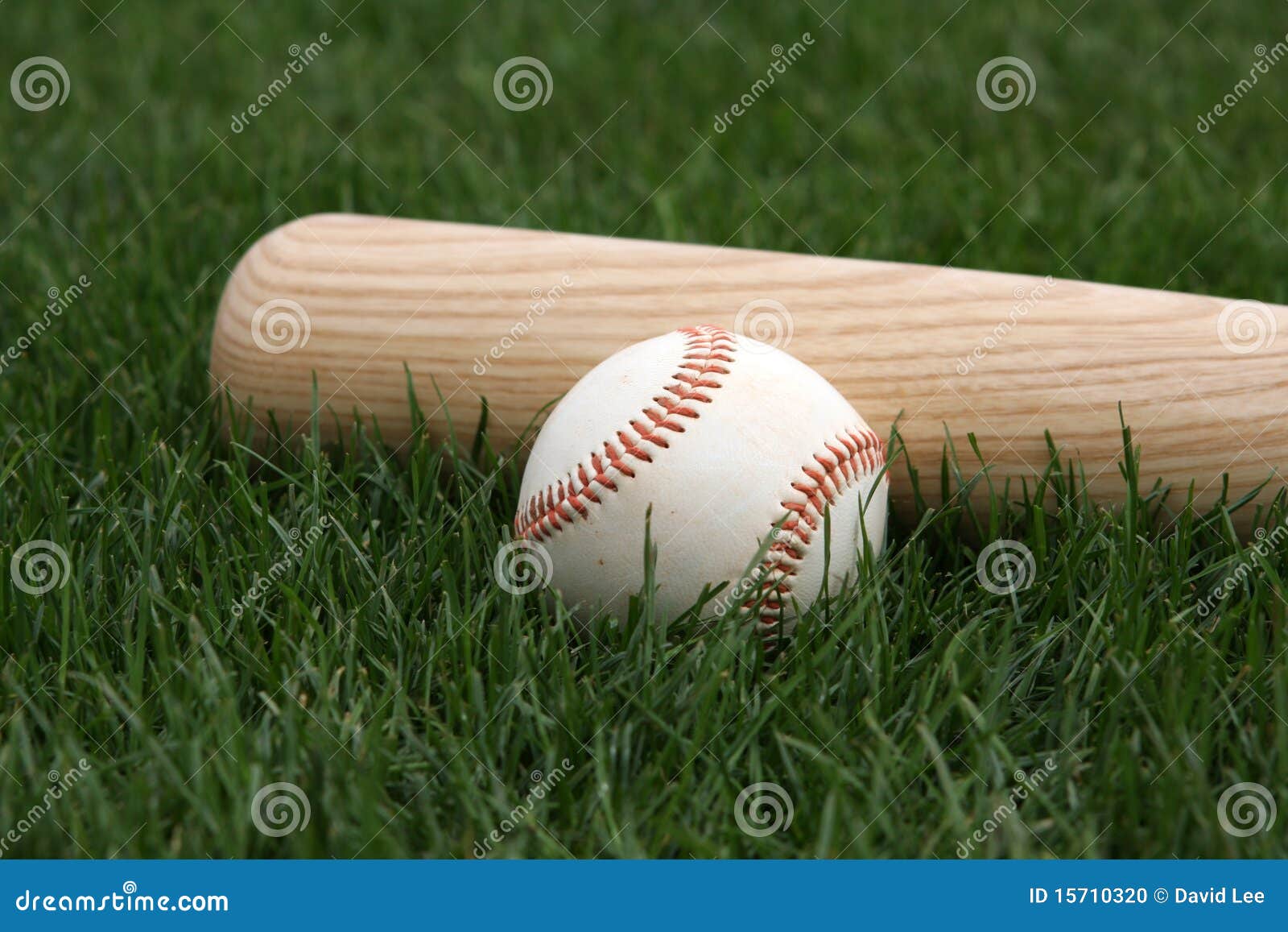 Honkbal & Knuppel Op Het Gras Stock Foto - Image of knuppel, spel: 15710320