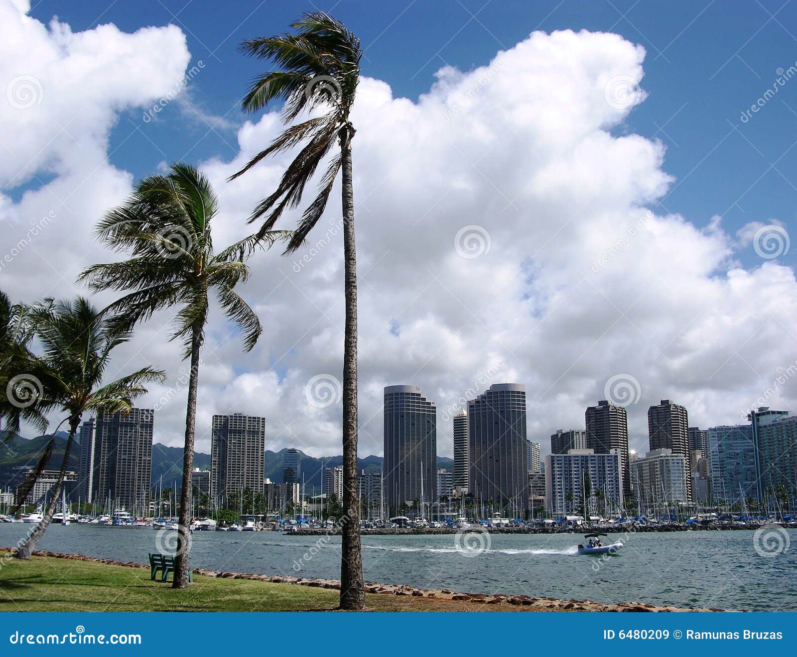 3,538 Honolulu Park Stock Photos - Free & Royalty-Free Stock Photos ...
