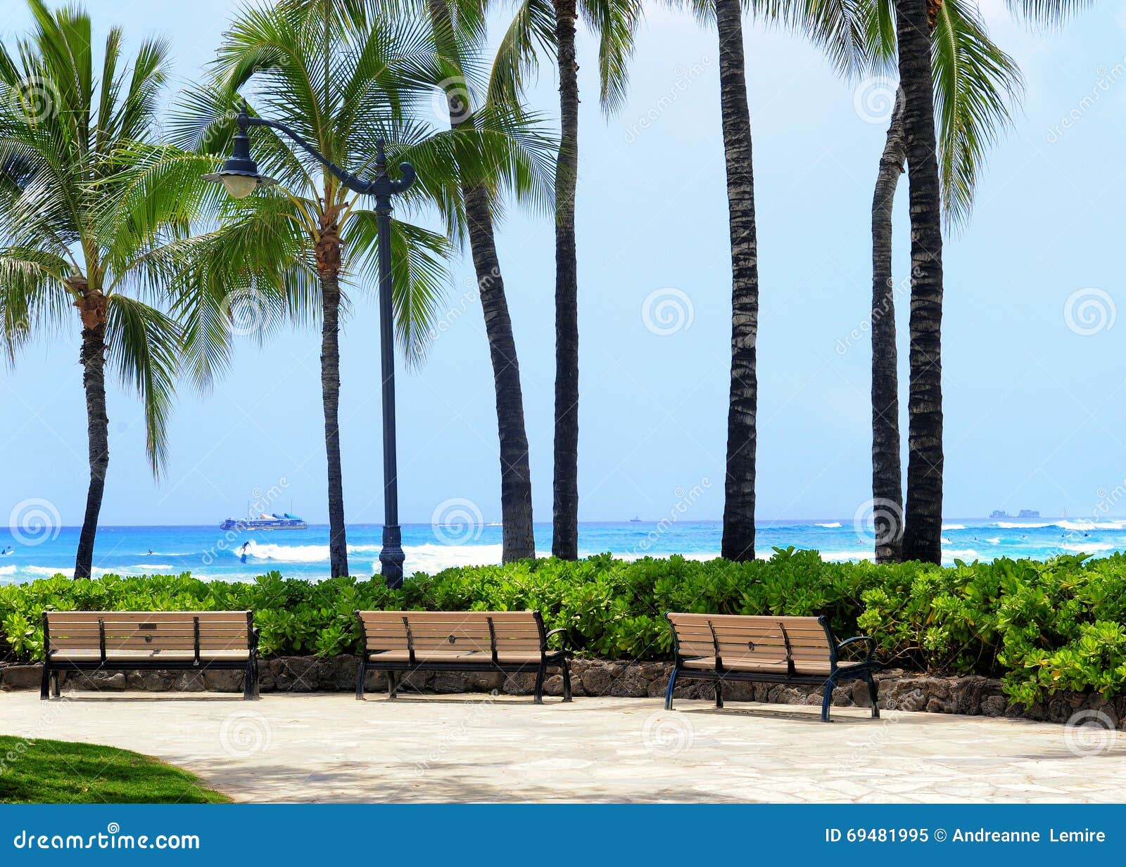 Honolulu stock image. Image of palm, sunny, honolulu - 69481995