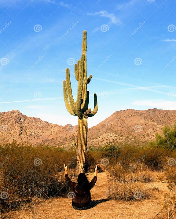Honoring Life stock photo. Image of cactus, honor, solitude - 9279696