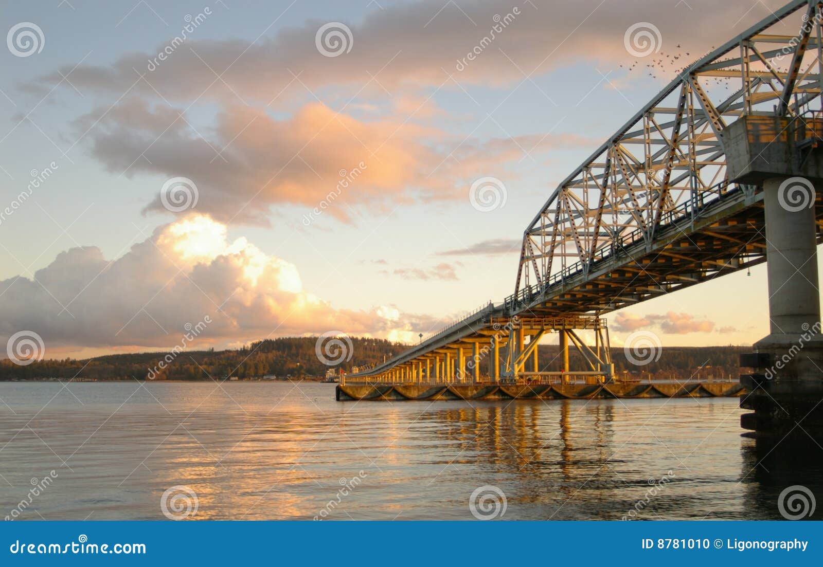 Hood Canal Bridge stock photo. Image of outdoor, picturesque - 8781010