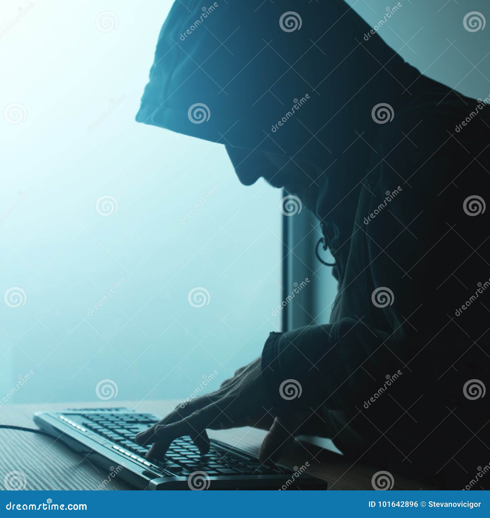 Hooded Computer Hacker Hacking Network Stock Photo - Image of ...