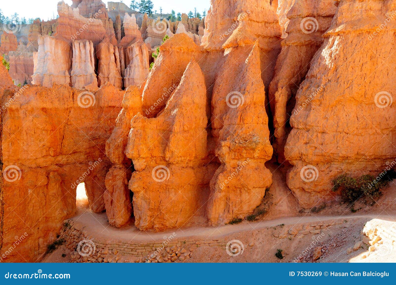Hoodoo Formations at Bryce Canyon National Park Stock Image - Image of ...