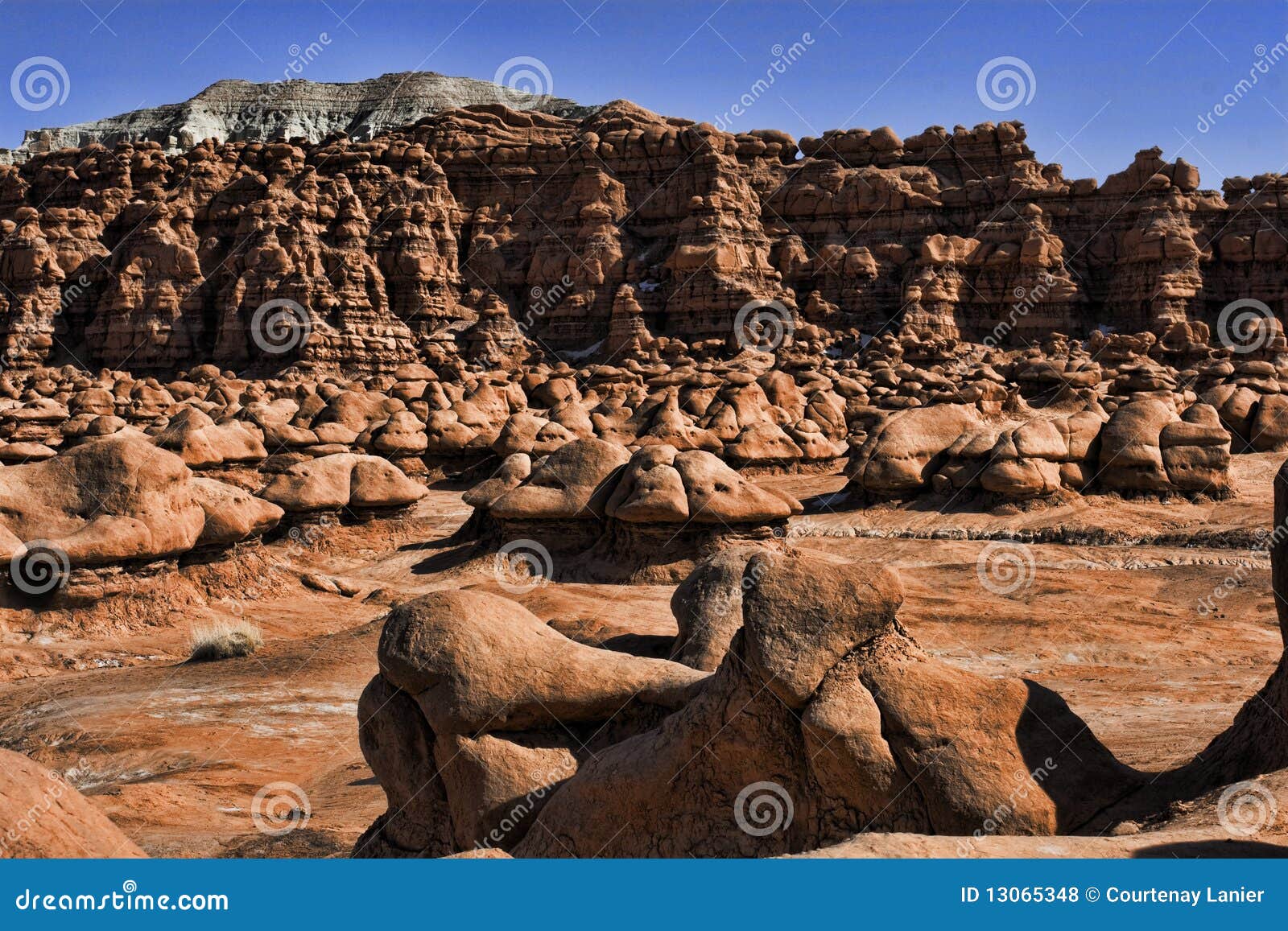Hoodoos stock photo. Image of rock, park, desert, rain - 13065348
