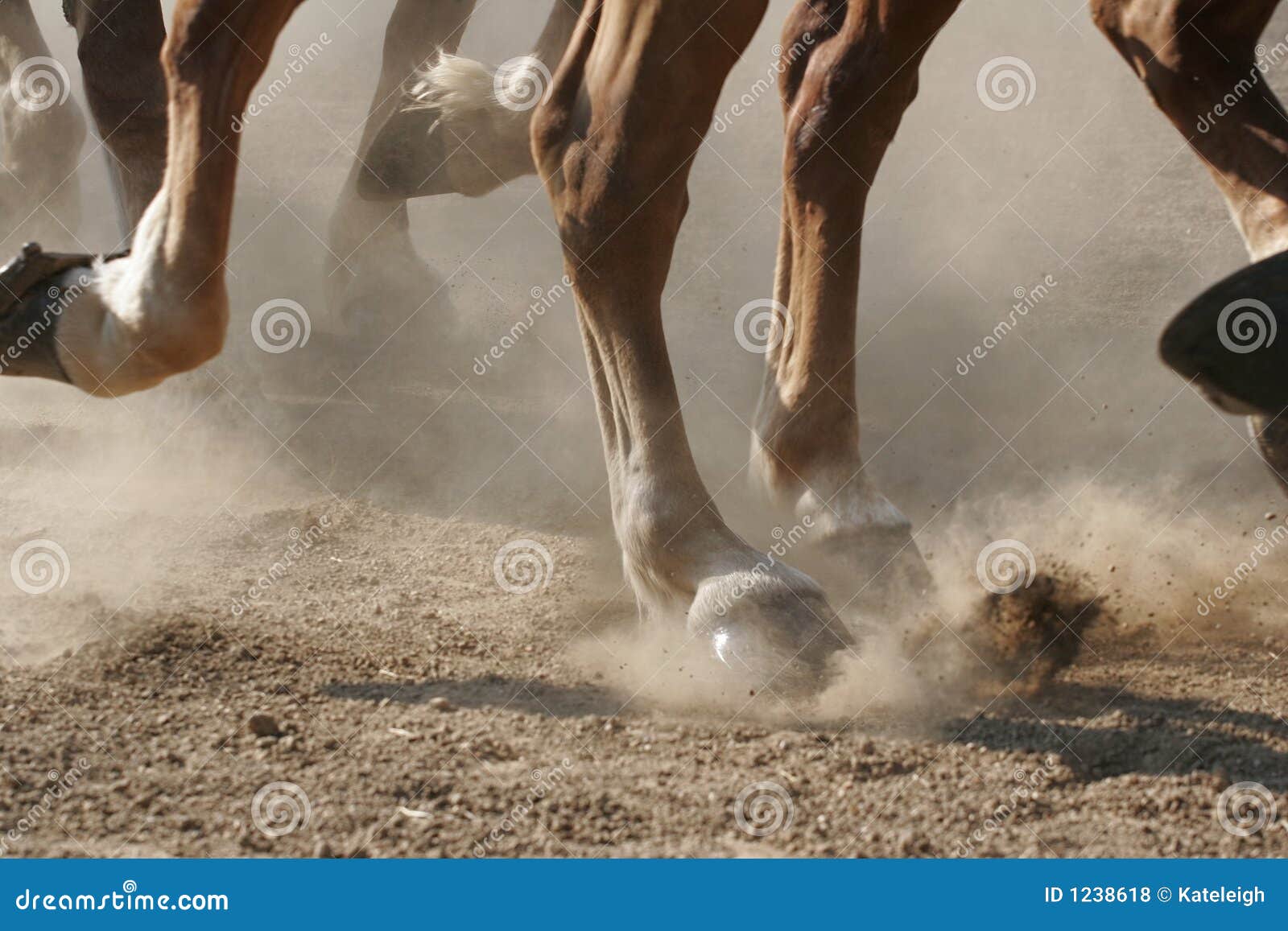 Hoof Dust stock photo. Image of haze, hooves, dust, equine - 1238618