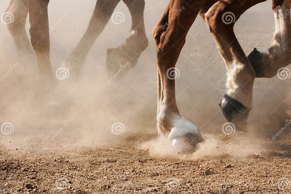 Hoof Dust stock photo. Image of wheels, dirt, dusty, power - 1298618
