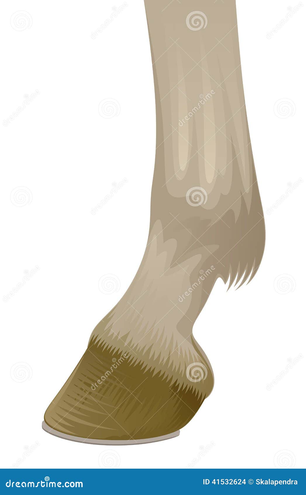 Hoof Stock Illustrations – 7,765 Hoof Stock Illustrations, Vectors ...