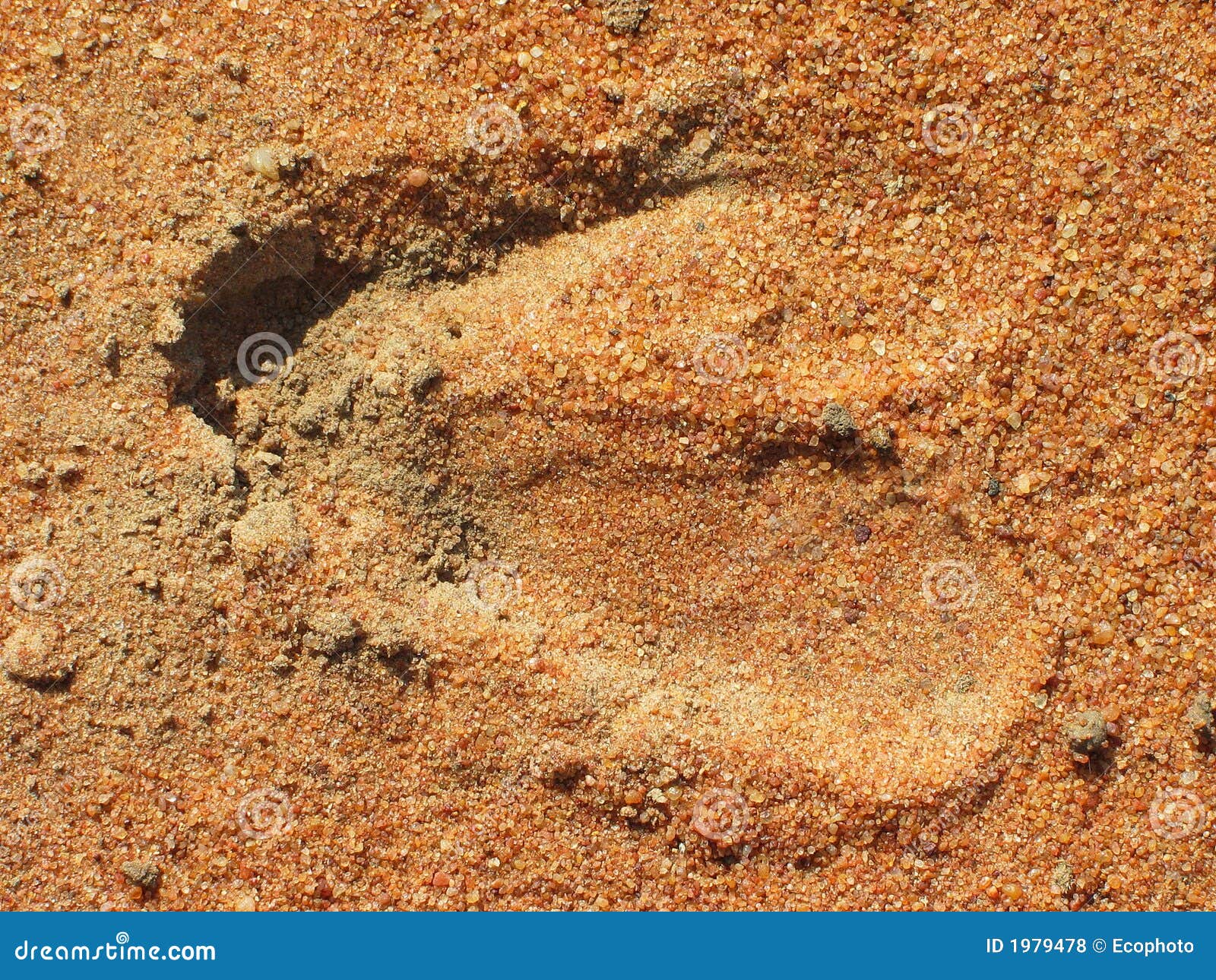 1,239 Antelope Hoof Photos - Free & Royalty-Free Stock Photos from ...