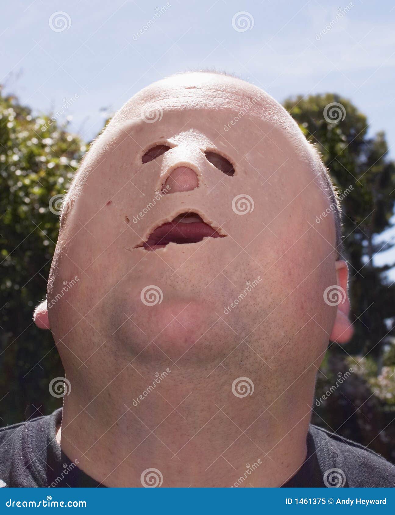 Hoofd 04 Van Het Middagmaal Stock Afbeelding - Image of behandeld ...