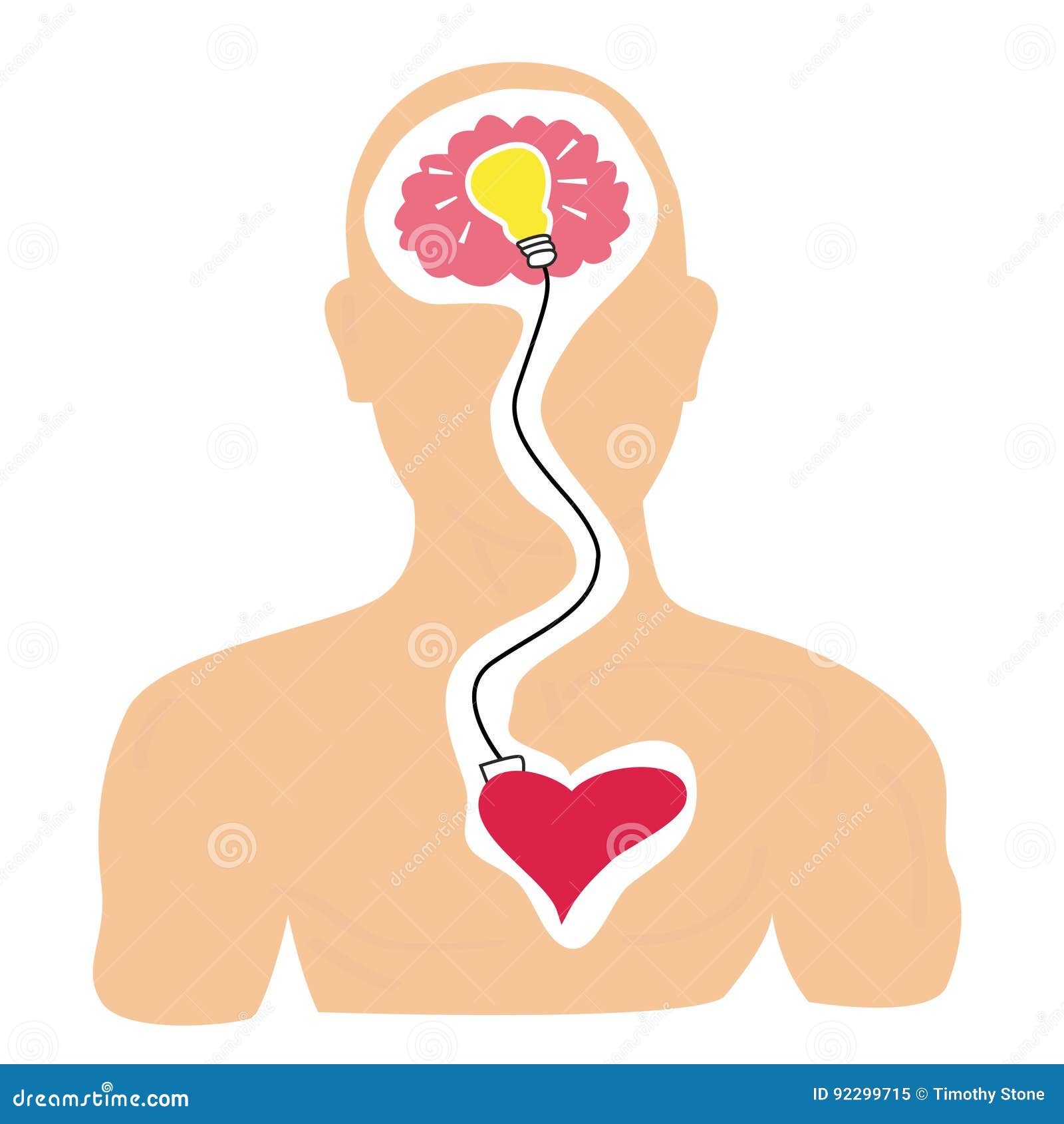 Hoofd, hart en idee vector illustratie. Illustration of anatomie - 92299715
