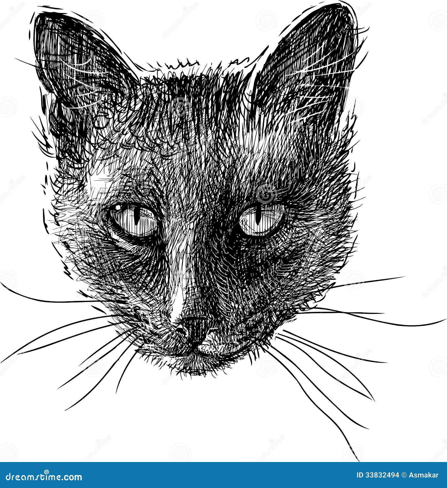 Hoofd van de kat vector illustratie. Illustration of dier - 33832494
