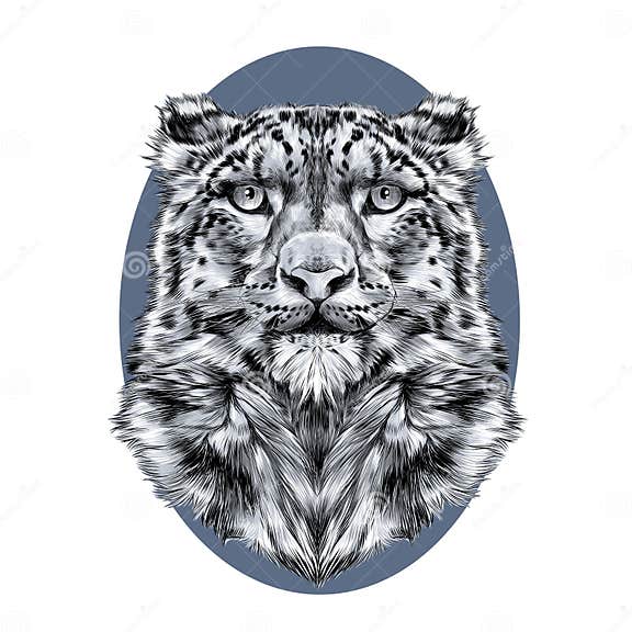 Hoofd Van De Sneeuwluipaard Vector Illustratie - Illustration of mascotte, grafiek: 88110672