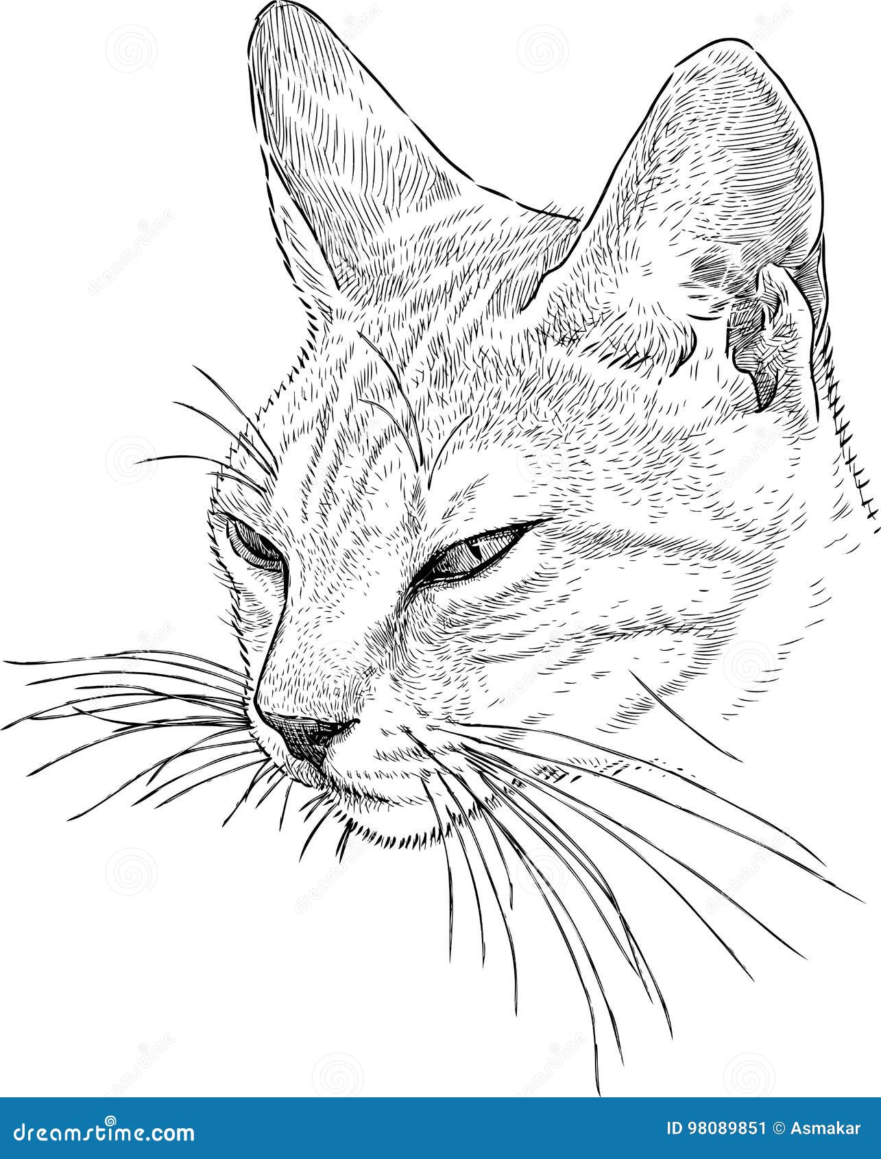 Hoofd Van Een Slaperige Kat Vector Illustratie - Illustration of ...