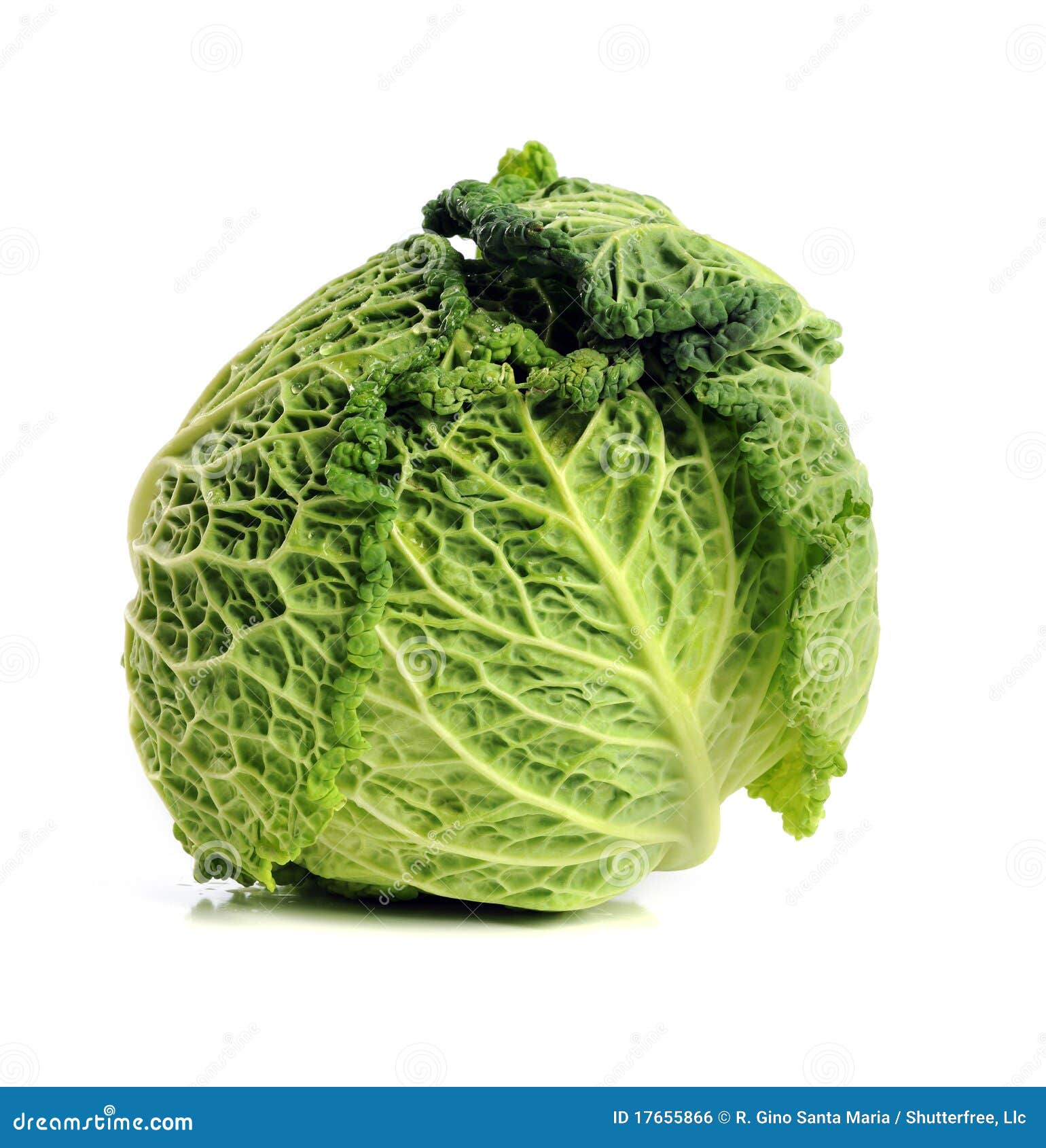 Hoofd van Kool stock foto. Image of kool, nave, kruidenierswinkels ...