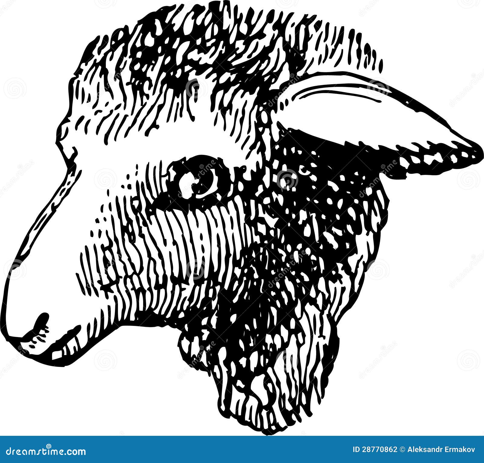 Hoofd van schapen vector illustratie. Illustration of zoogdier - 28770862