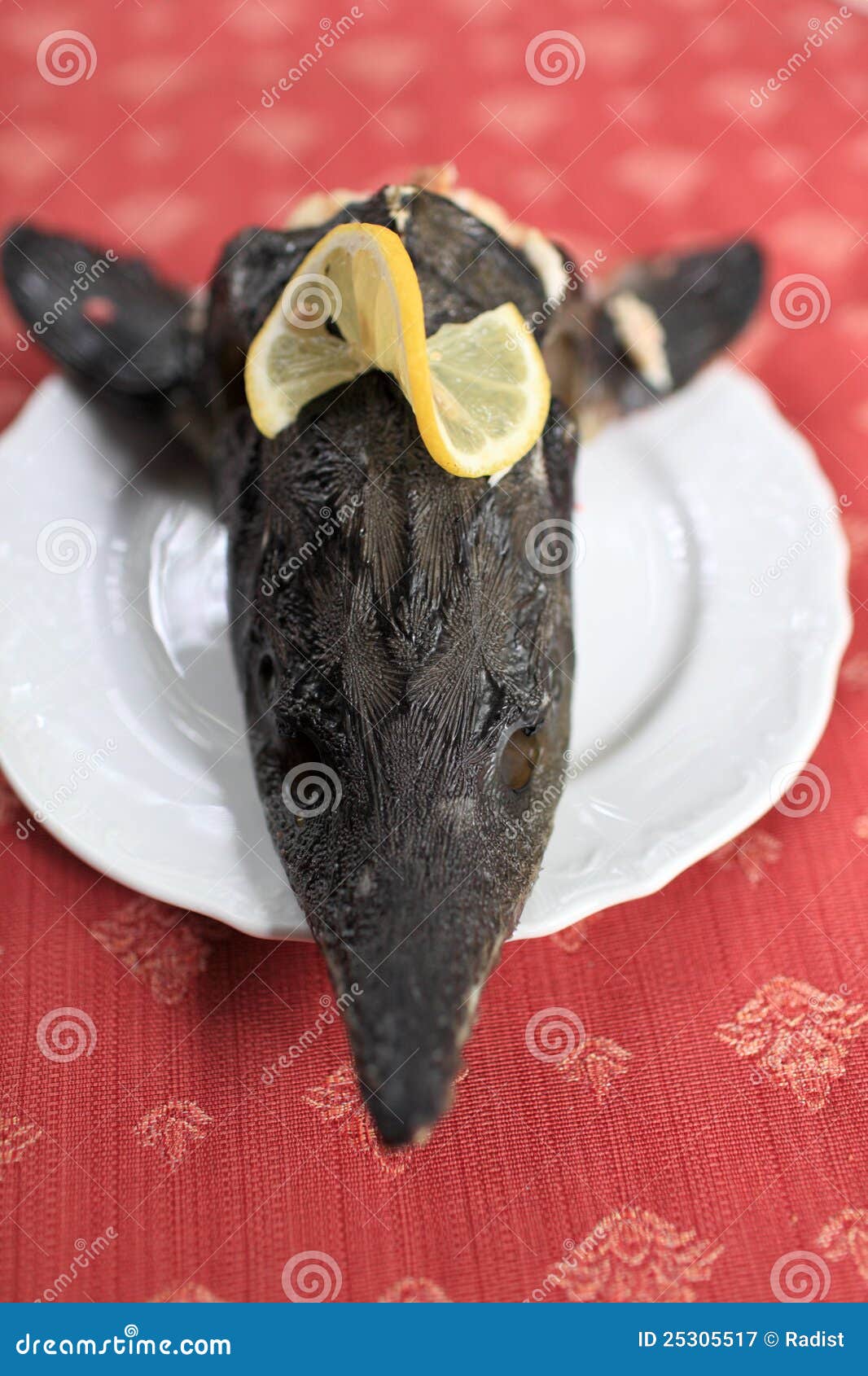 Hoofd van steur stock afbeelding. Image of plaat, gedeelte - 25305517