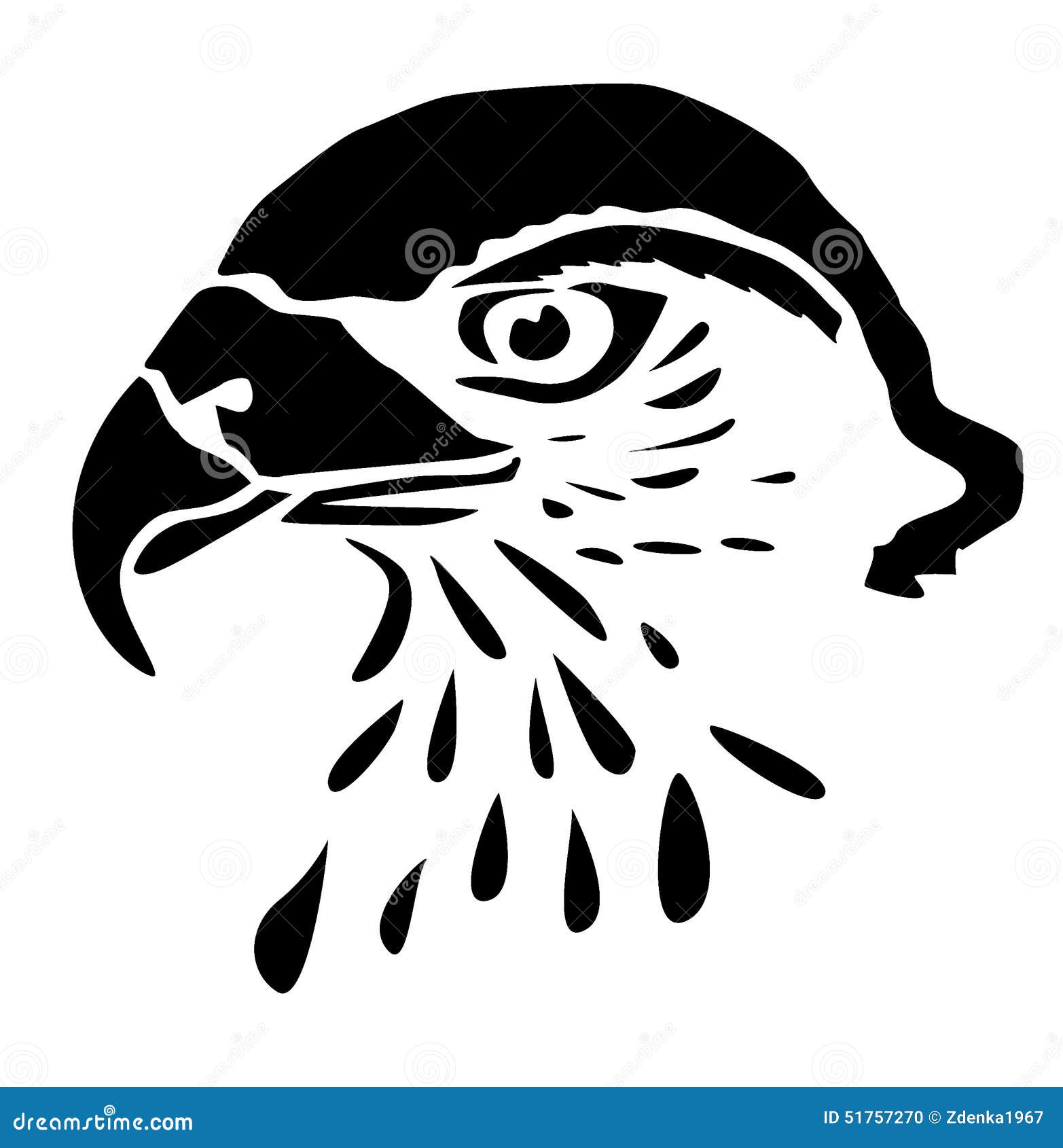Hoofdroofdier - Buizerd - Tekening Stock Illustratie - Illustration of ...