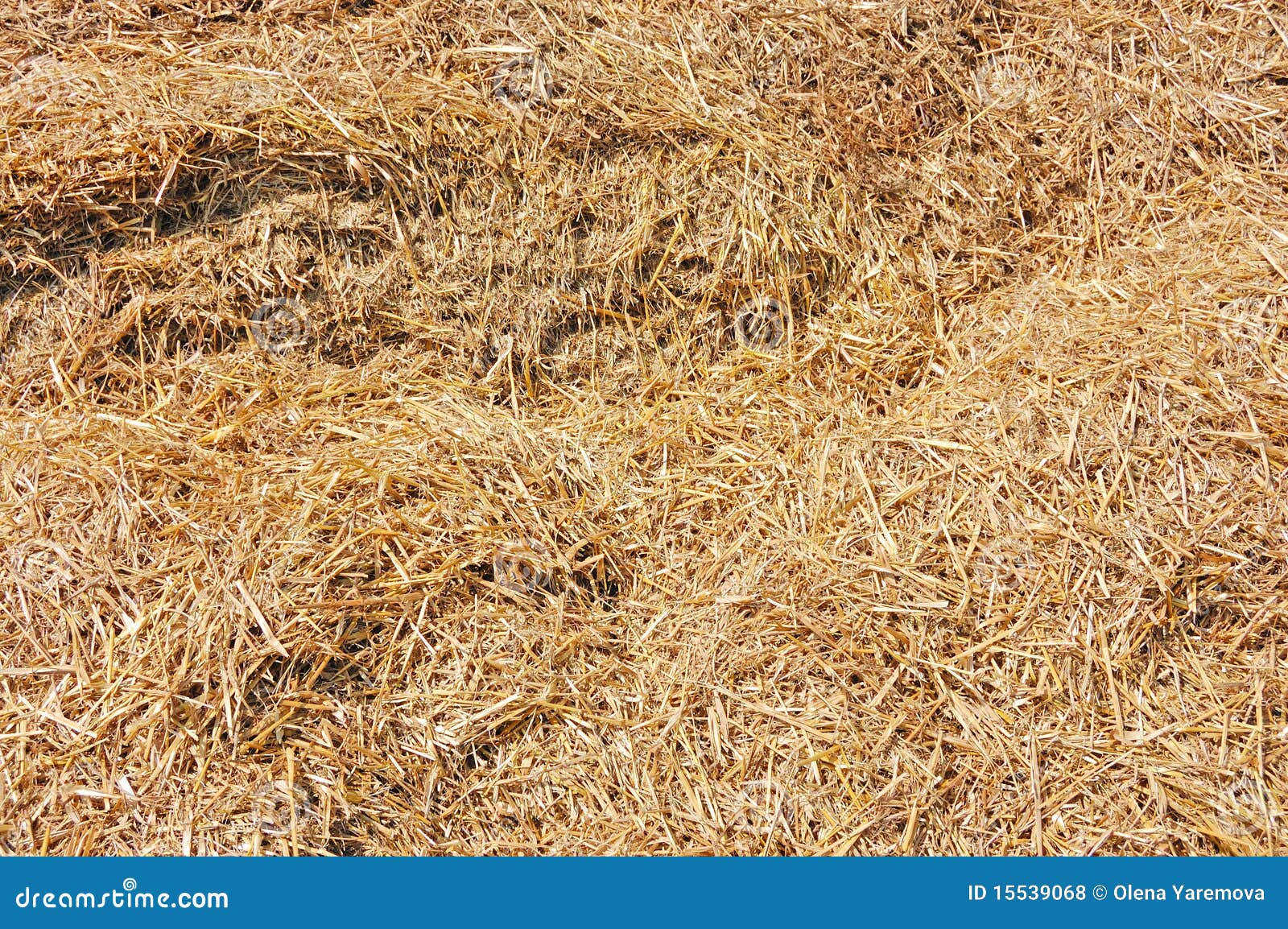 Hooi stock foto. Image of veevoeder, weide, stro, sluit - 15539068