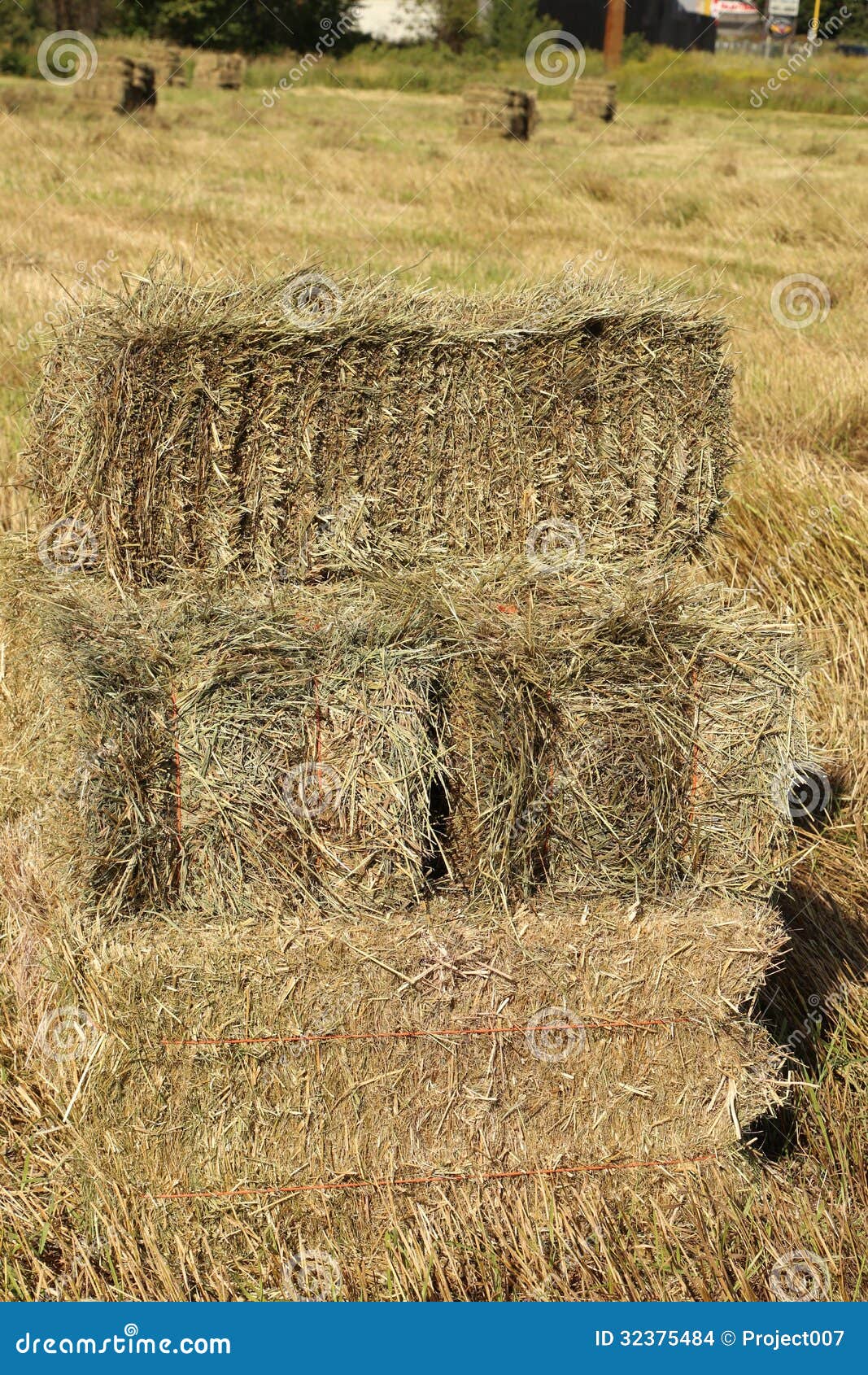 Hooi stock foto. Image of baal, hooibergen, droog, hooiberg - 32375484