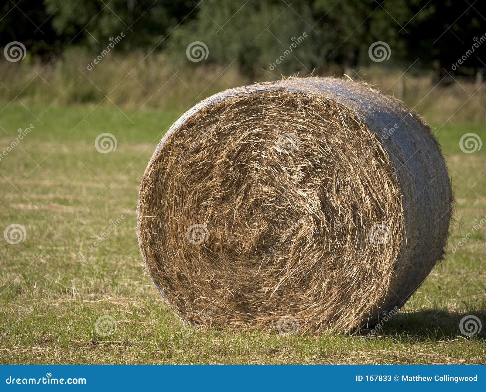 Hay Bail 2 Picture. Image: 167833