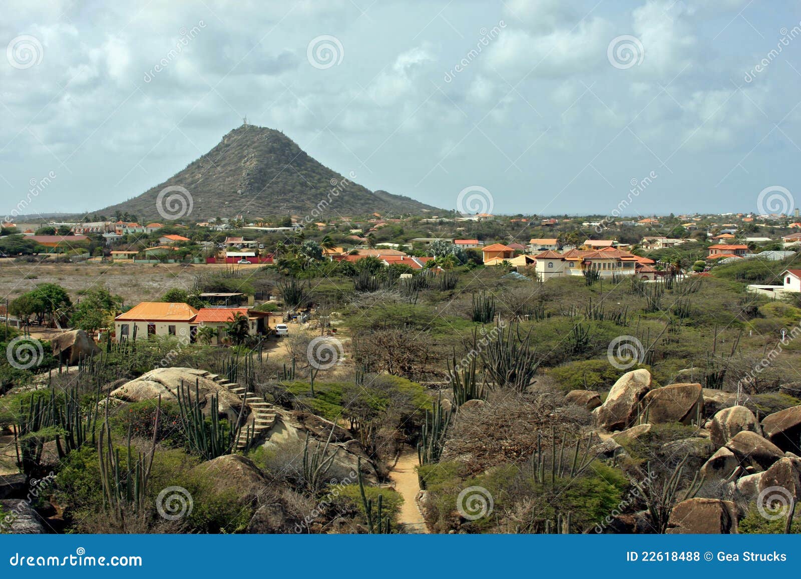 Hooiberg stock photo. Image of blue, trees, aruba, palm - 22618488