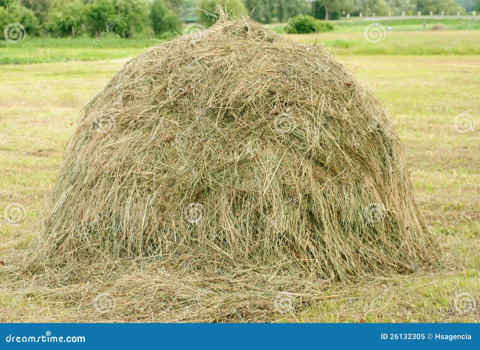 Hooimijt op de weide stock afbeelding. Image of steen - 26132305