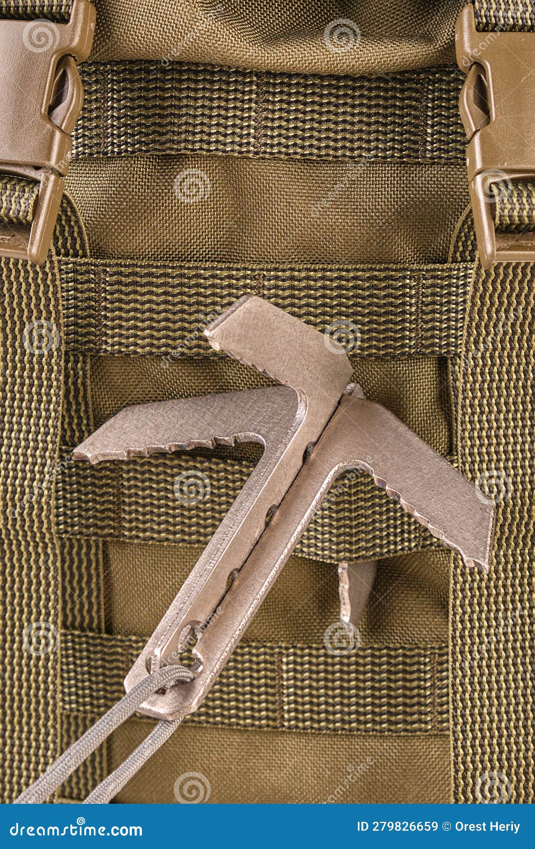 Hook Cat on Tactical Military Green Olive Backpack with Molle System ...
