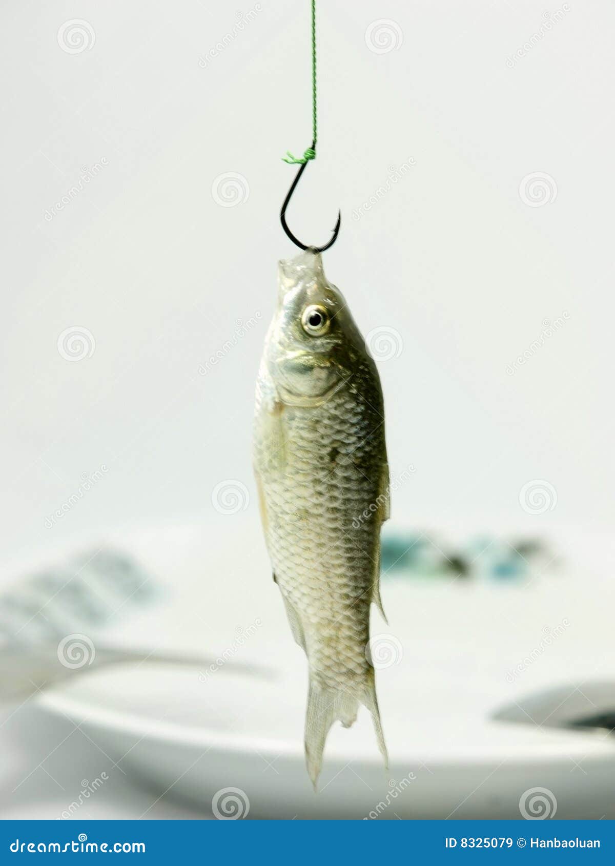 Hook and fish stock image. Image of isolated, food, hook - 8325079