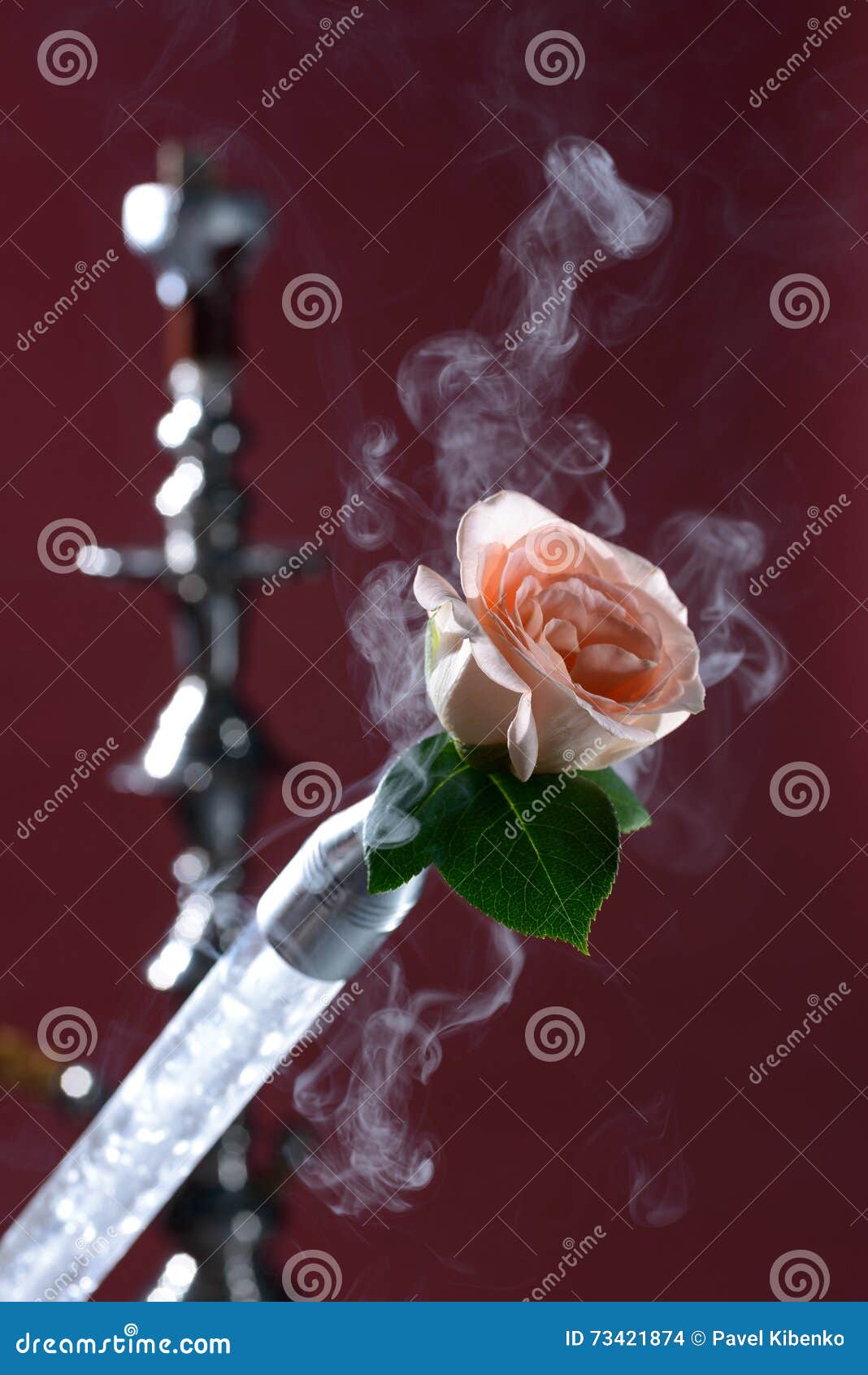 Hookah and rose stock photo. Image of sheesha, aromatic - 73421874