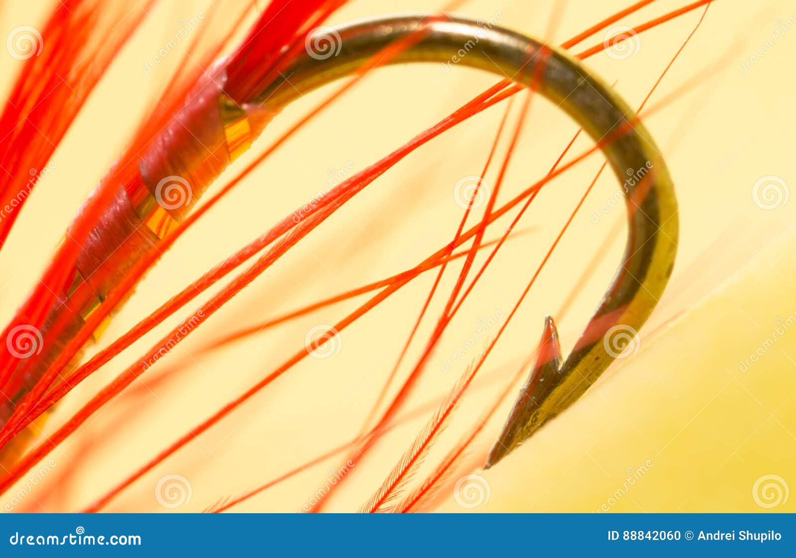 Hooked on Fly Fishing. Close Stock Photo - Image of fishing, flyfishing ...