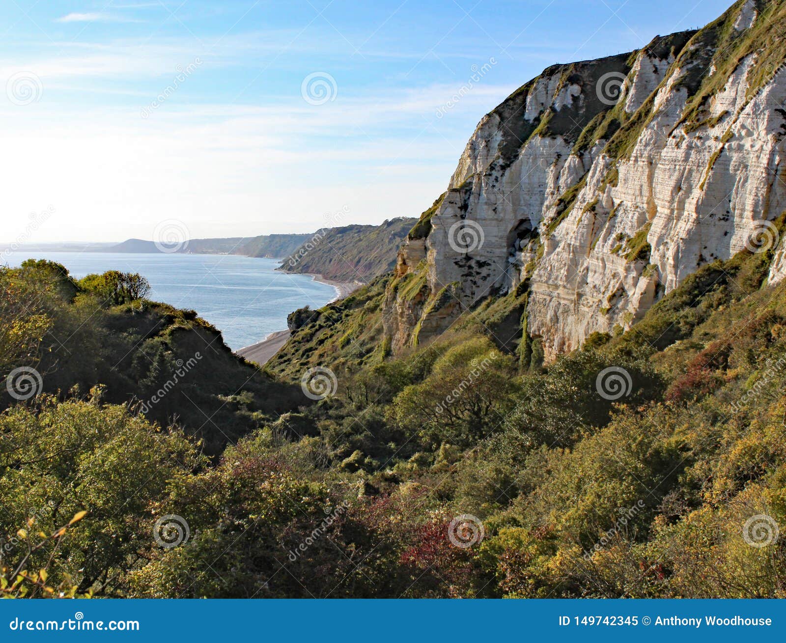 Hooken Undercliff between Branscombe and Beer in Devon, England Stock ...