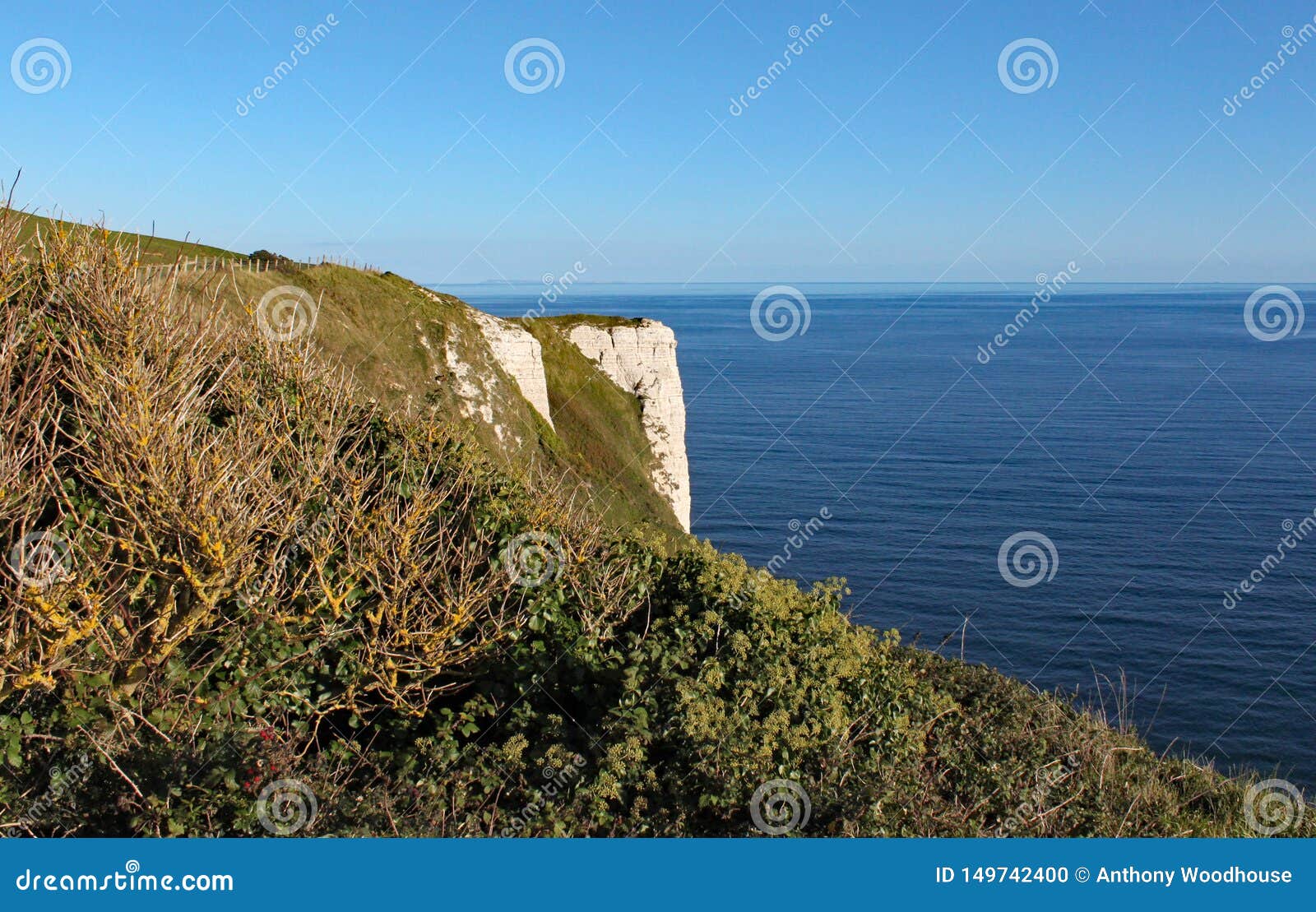 Hooken Undercliff between Branscombe and Beer in Devon, England Stock ...