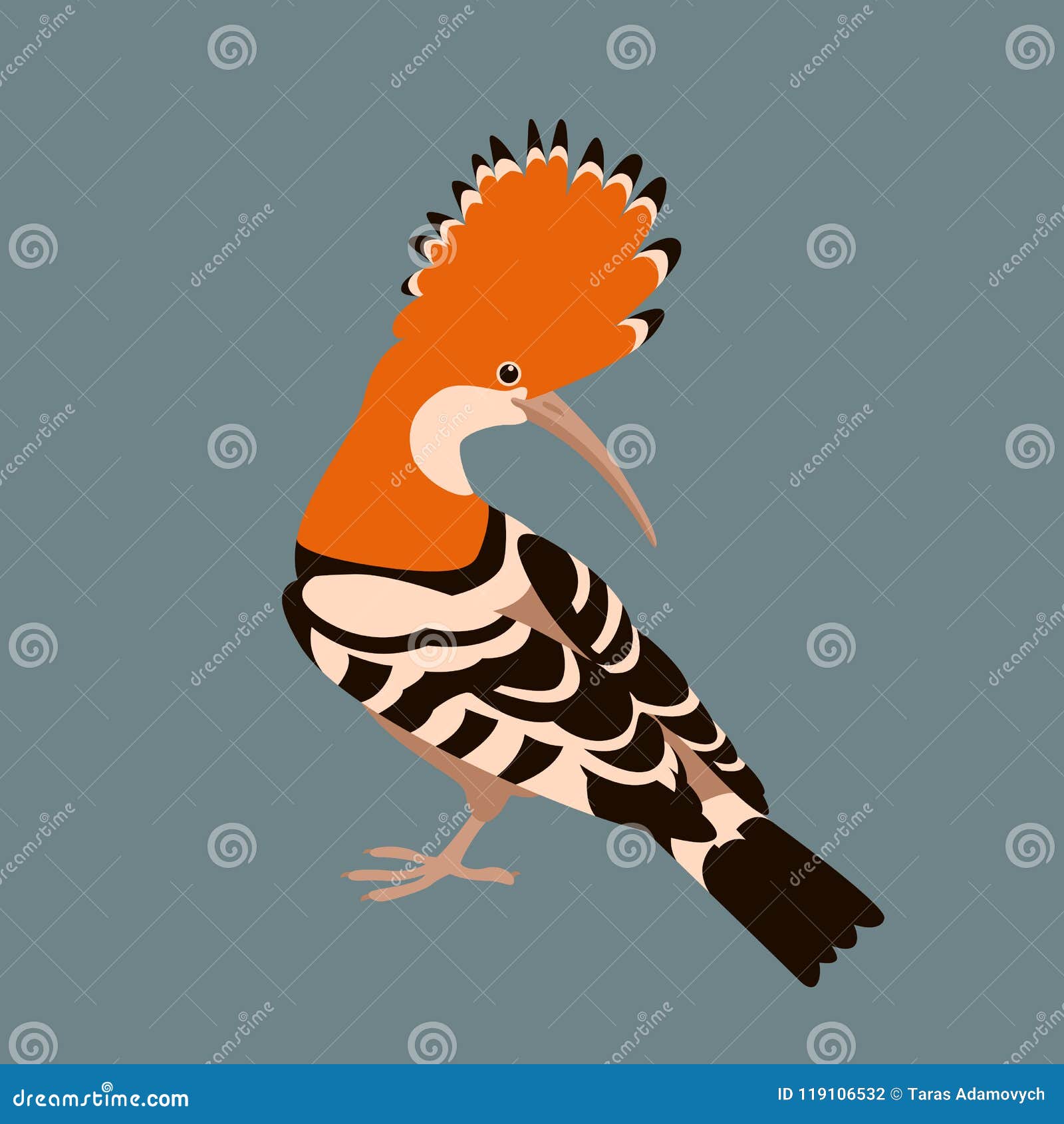 Hoopoe Bird Vector Illustration Flat Style Profile Stock Vector ...