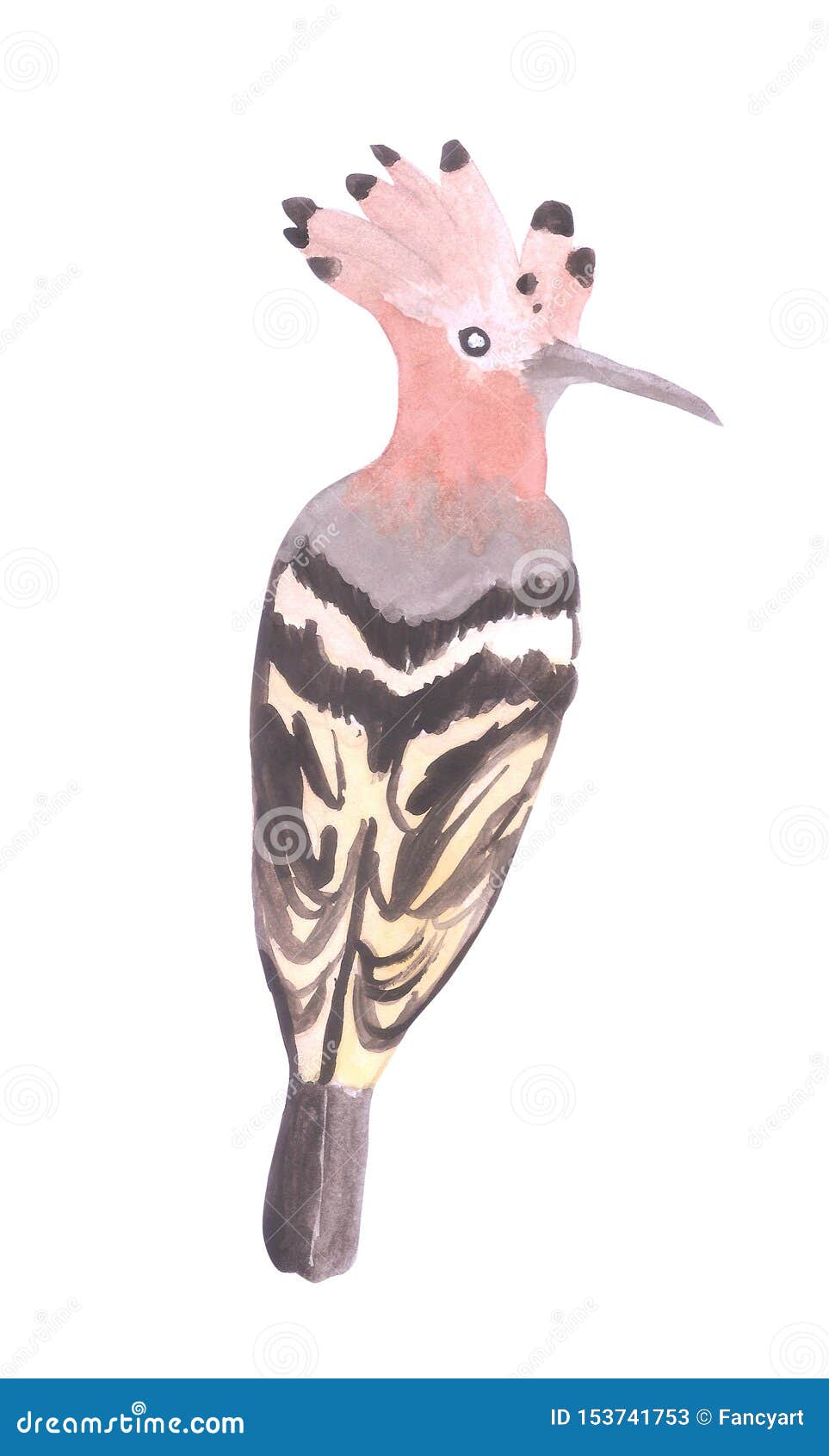 Hoopoe Isolated On A White Background. Realistic Upupa Epops. Vector ...