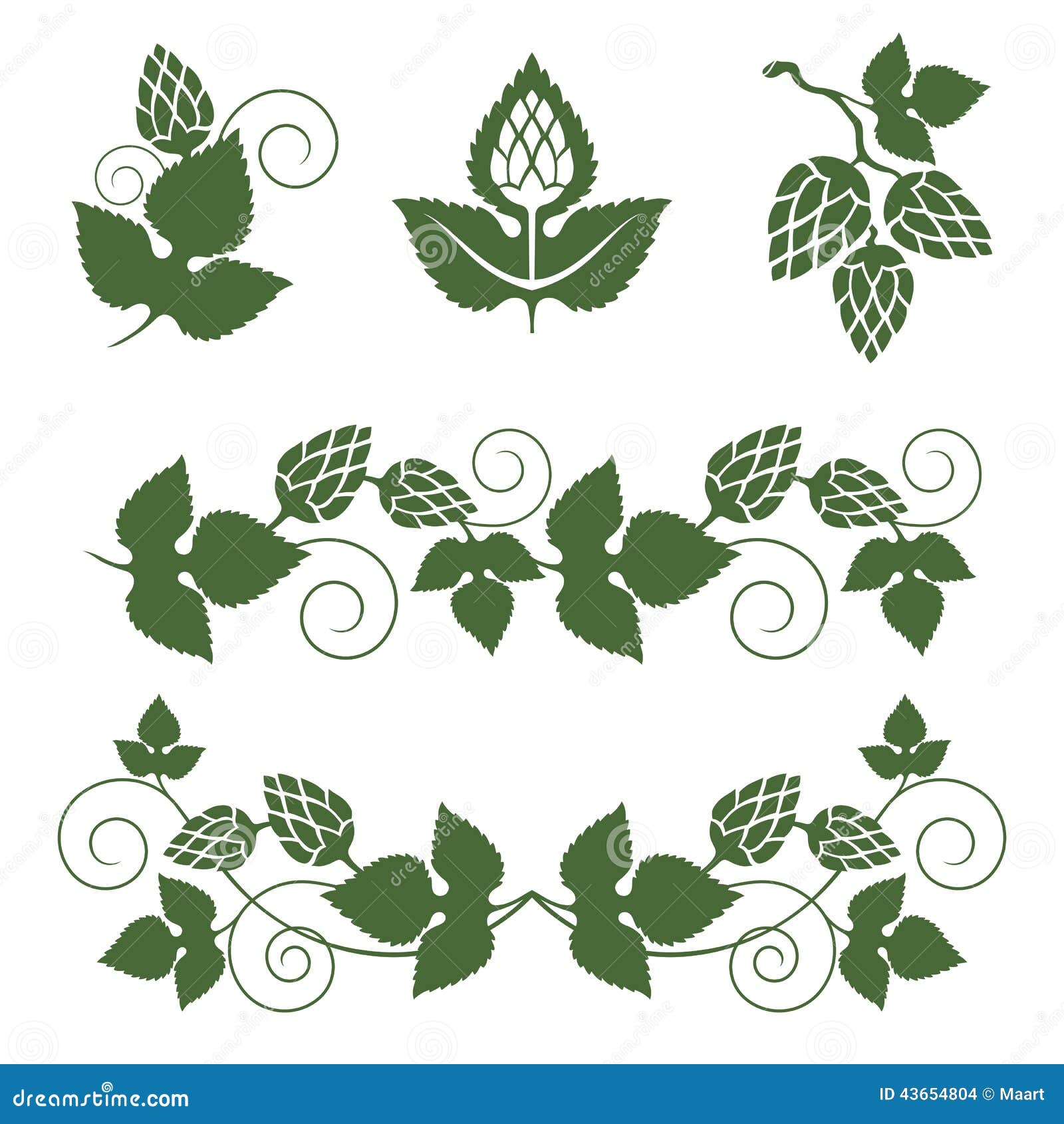 Hop Borders And Design Elements Stock Vector - Illustration of closeup ...