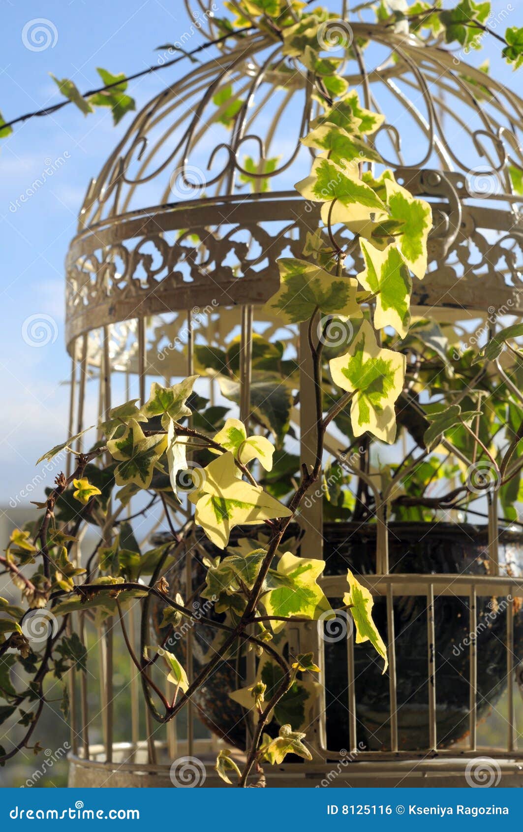 Hop on the cage stock photo. Image of metal, object, accent - 8125116