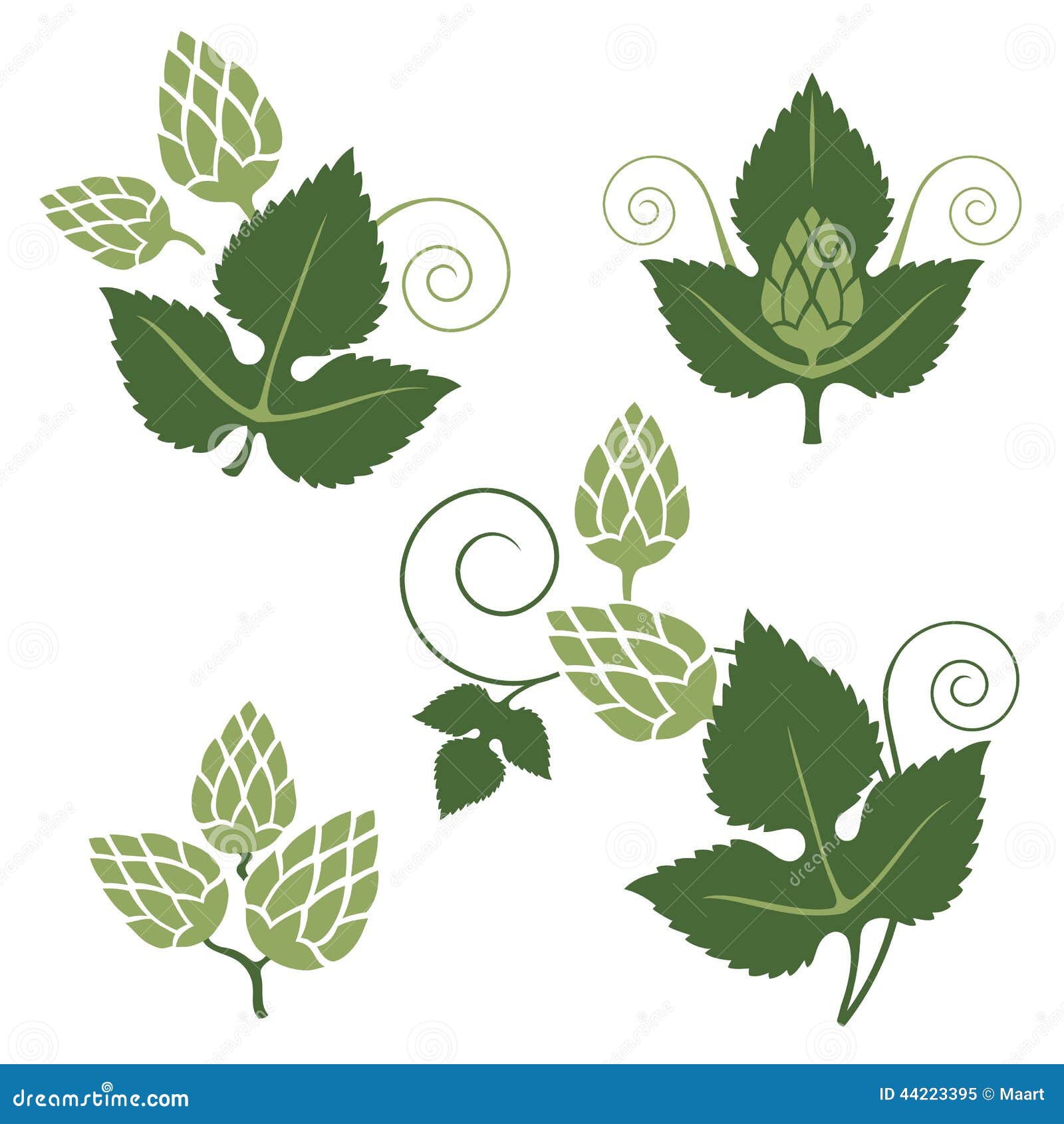 Hop design elements stock vector. Illustration of growth - 44223395