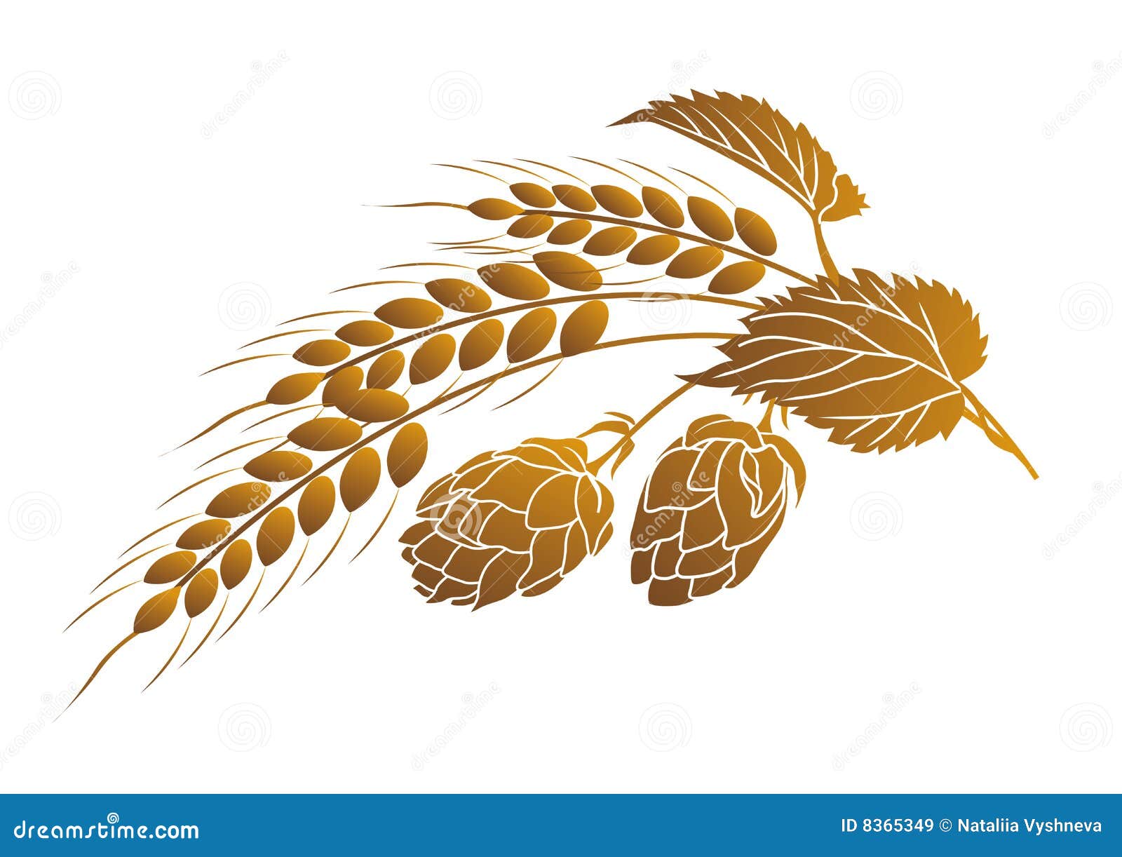 Hop en tarwe vector illustratie. Illustration of landbouw - 8365349