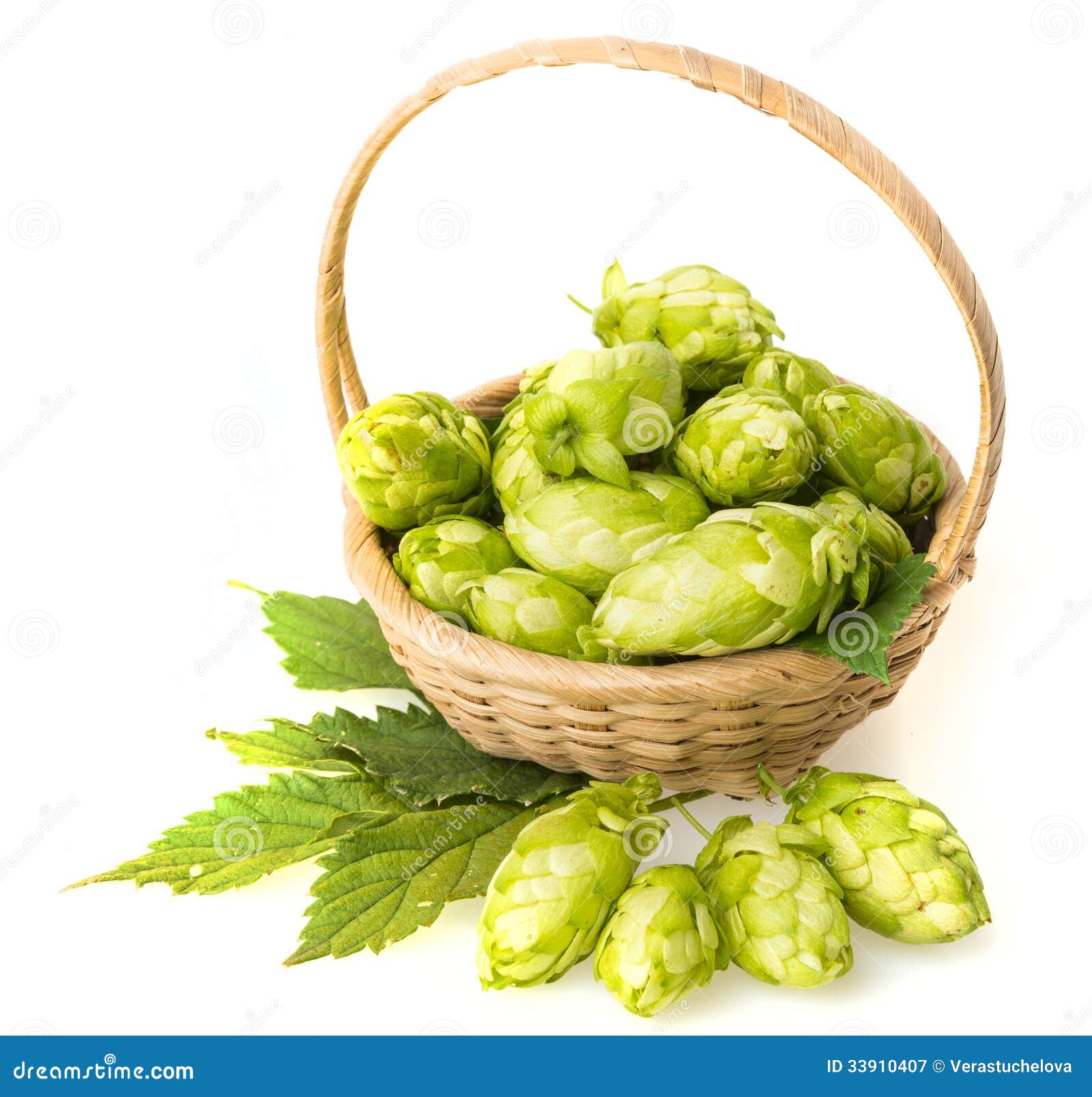 Hop stock image. Image of clipping, bitterness, basket - 33910407