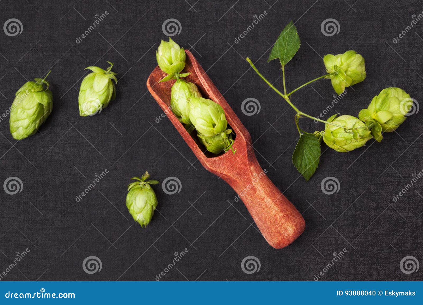 Hop Fruit in Spoon on Dark Background. Stock Photo - Image of spoon ...