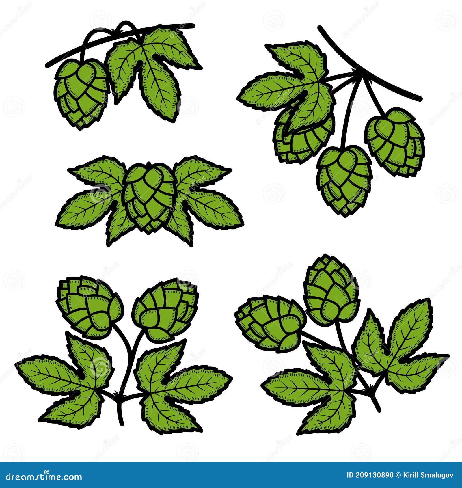 Hops Vector | CartoonDealer.com #55978342