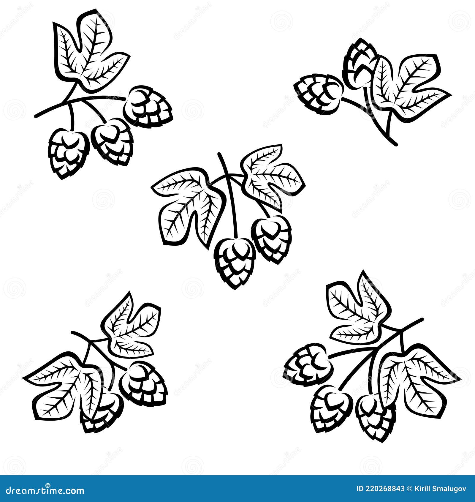 Hop Set. Collection Icon Hops Stock Vector - Illustration of craft ...