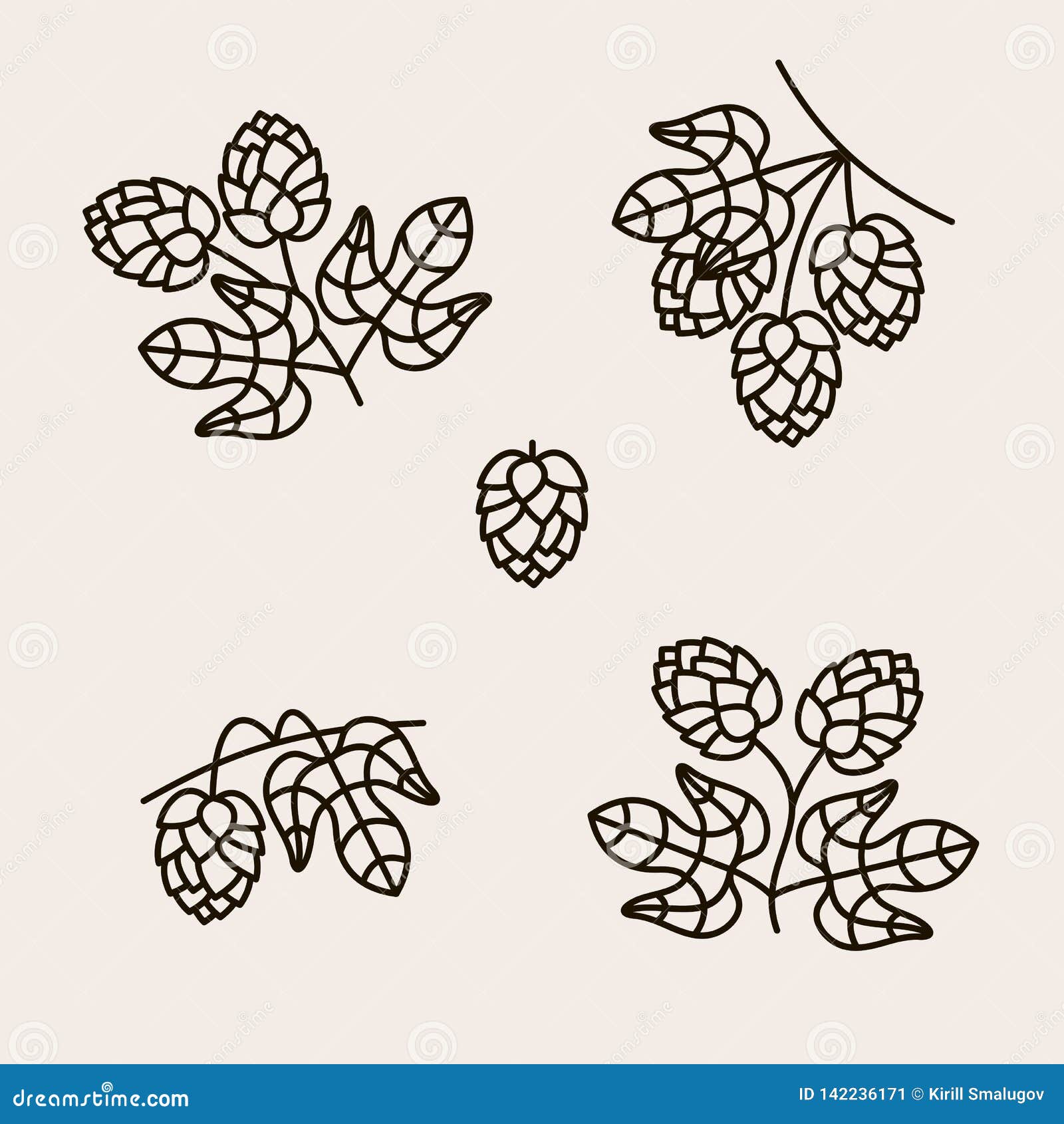 Hop Set. Collection Icon Hops Stock Vector - Illustration of green ...