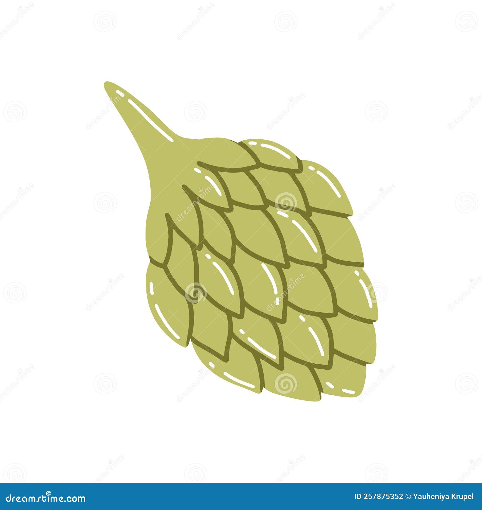 Hop vector illustration. stock vector. Illustration of branch - 257875352