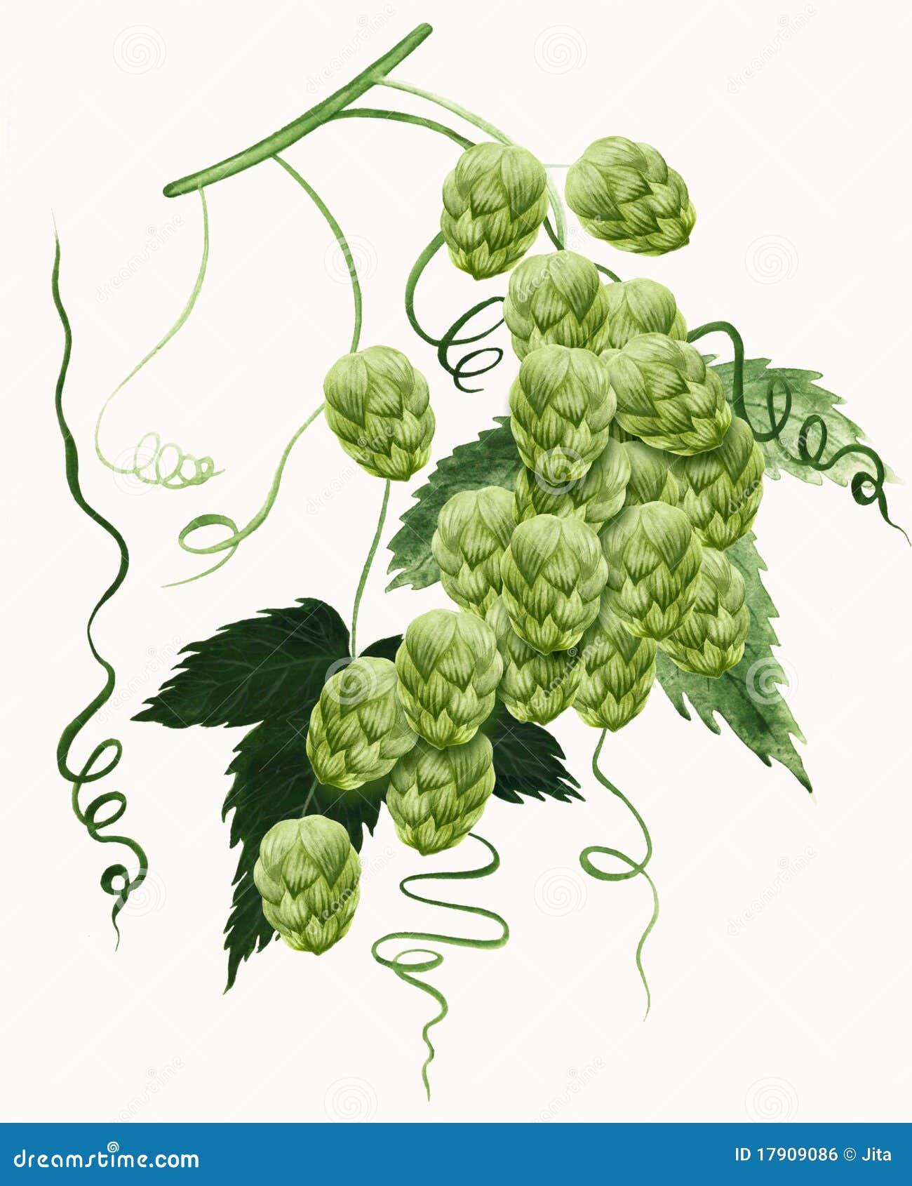 Bitterness And Life - Pictured As A Word Bitterness And A Wreck Ball To ...